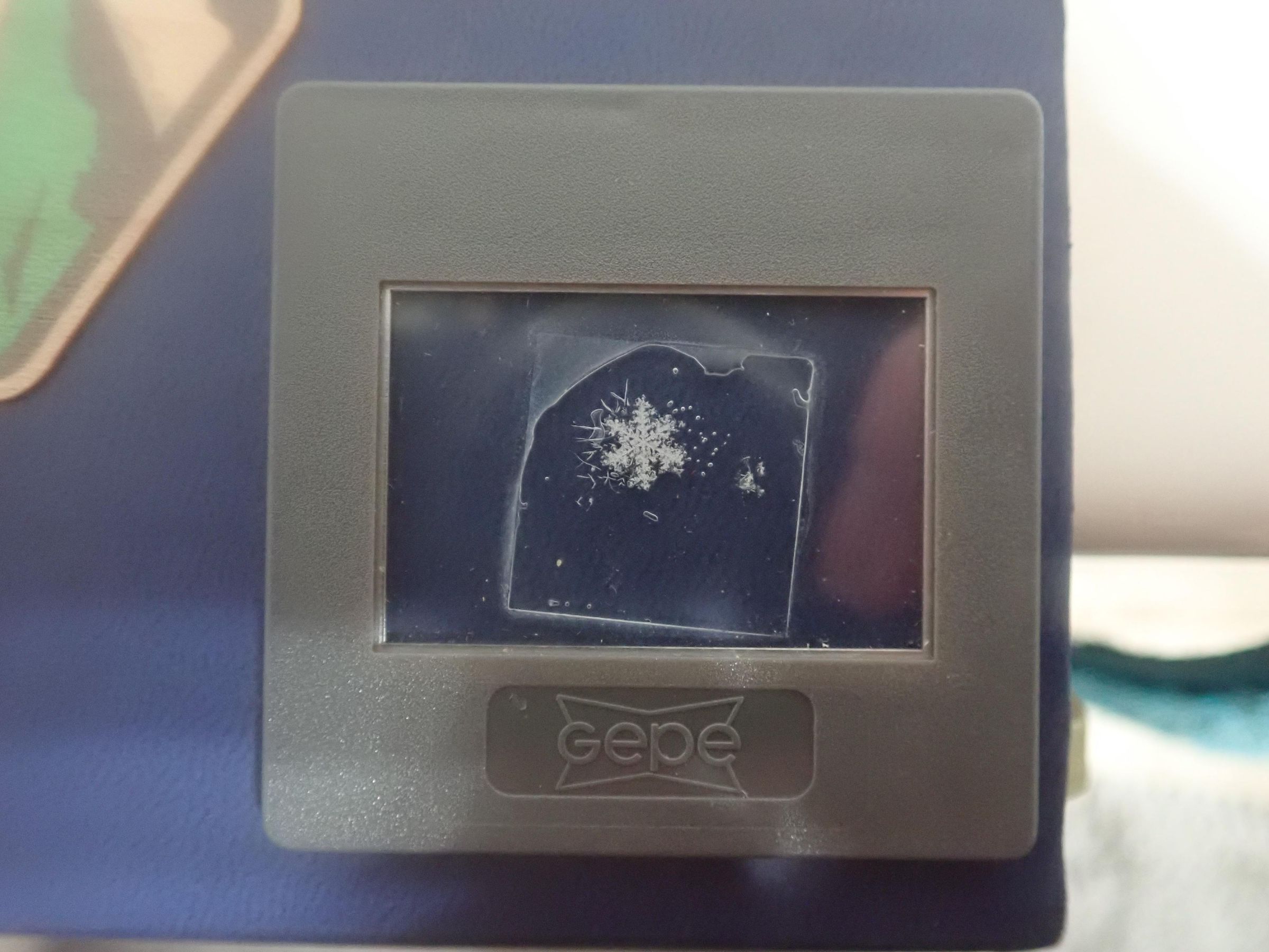 How to Preserve a Snowflake Forever! : 7 Steps (with Pictures ...