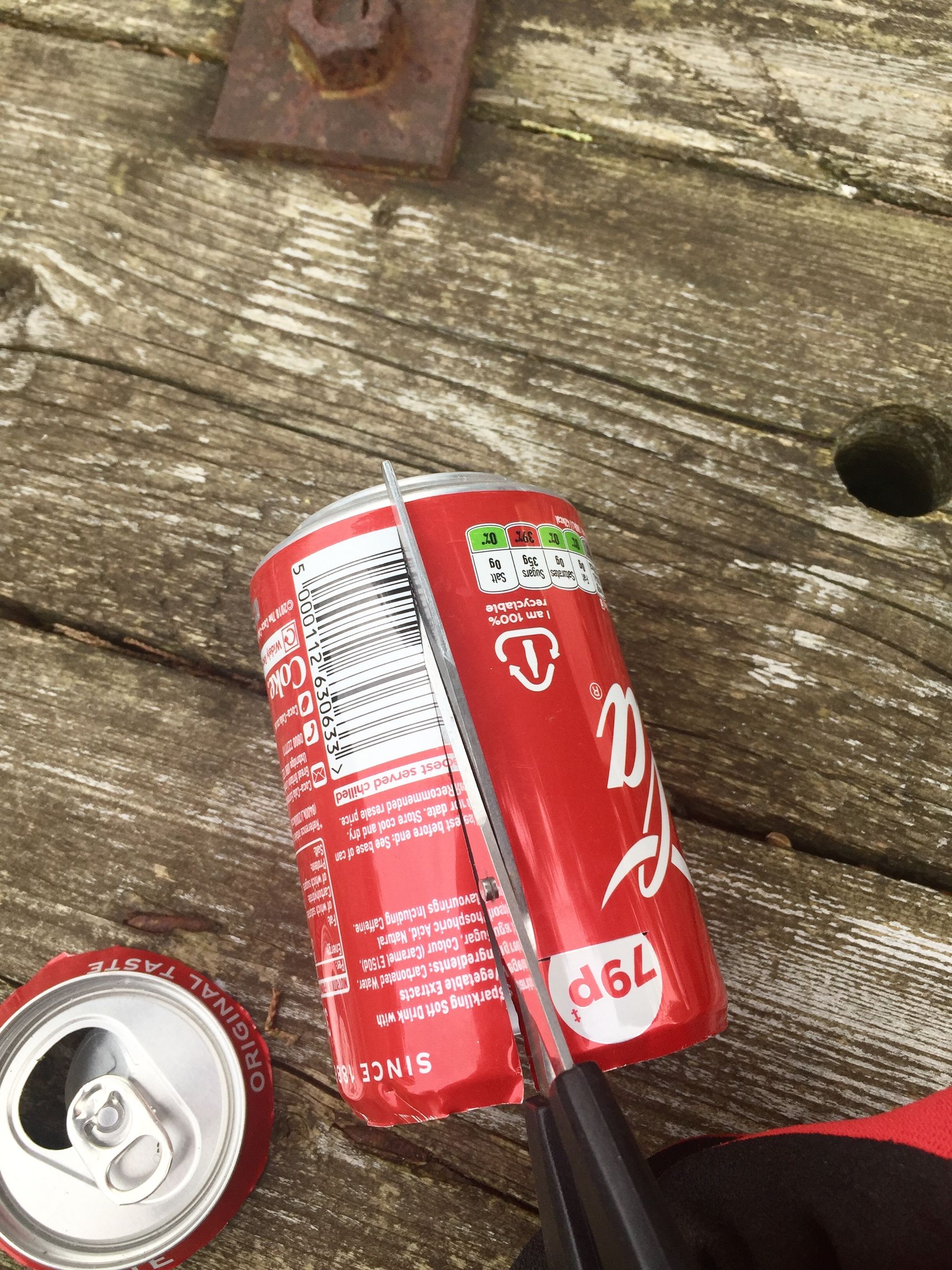 How to Make a Simple Recycled Tin-Can Flower for Your Garden or Plant ...