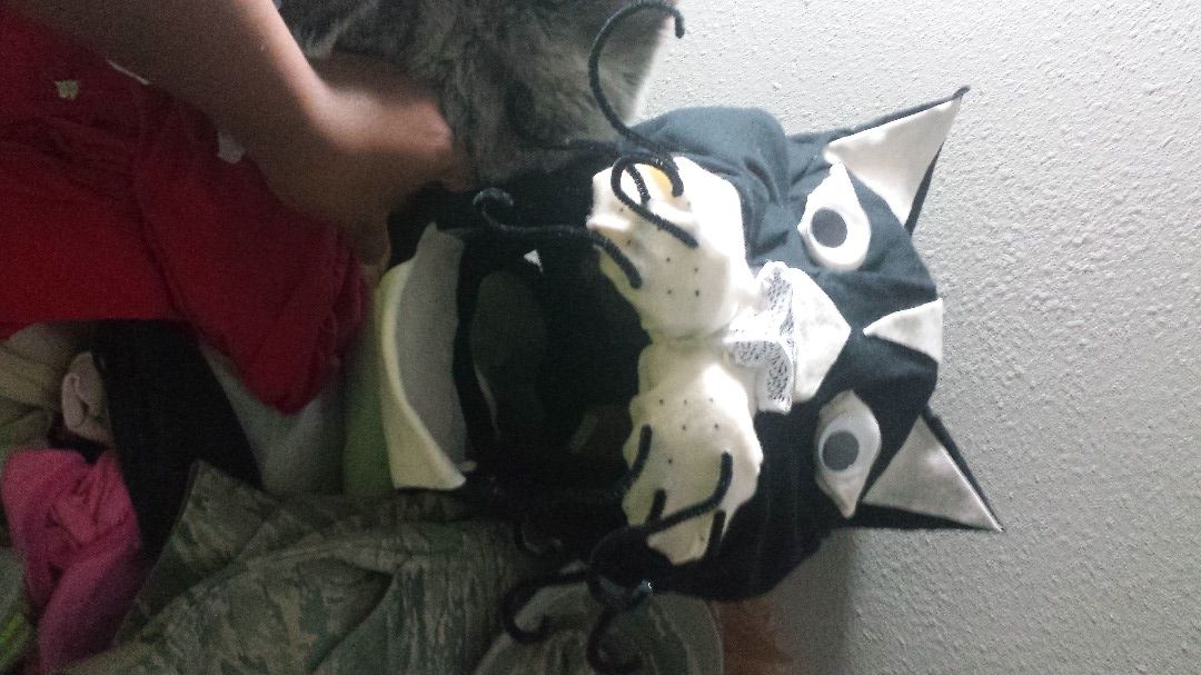 Jean Paul of the Dead (The Making of a Zombie Cat Mask) - Instructables