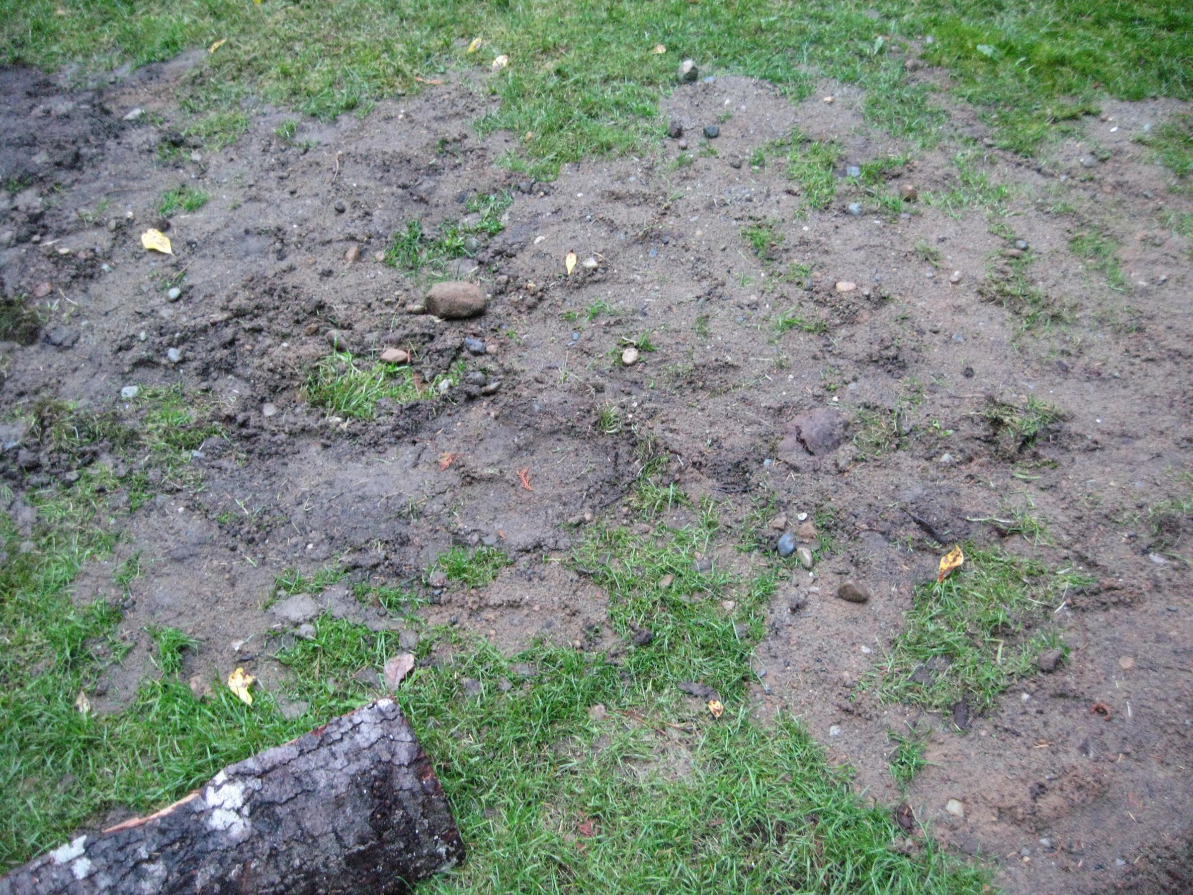 Pond and Water Reservoir : 6 Steps - Instructables