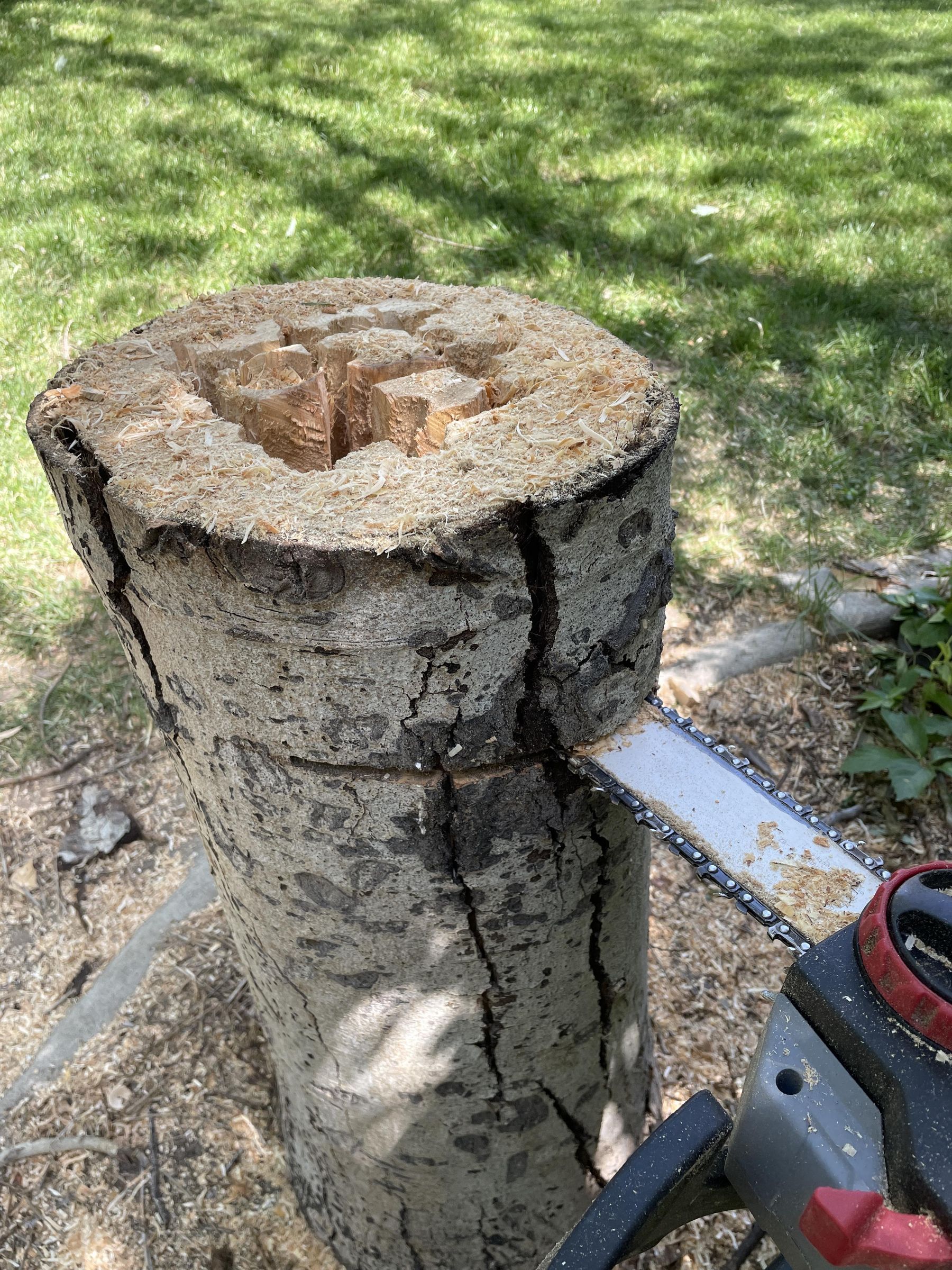 Transform a Tree Stump Into a Planter Box : 11 Steps (with Pictures ...