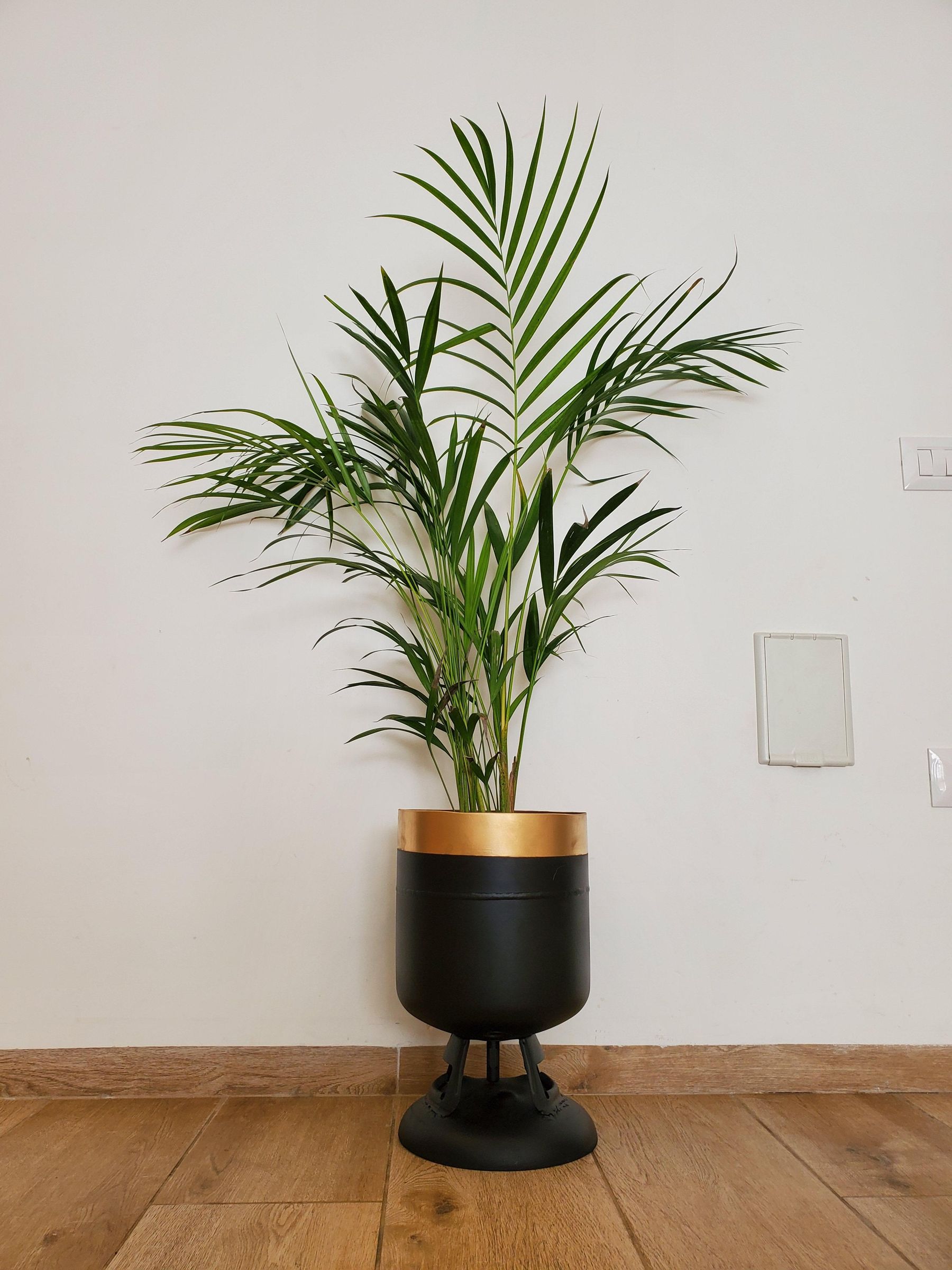 Gas Cylinder Turned to a Modern Metal Planter : 6 Steps (with Pictures ...