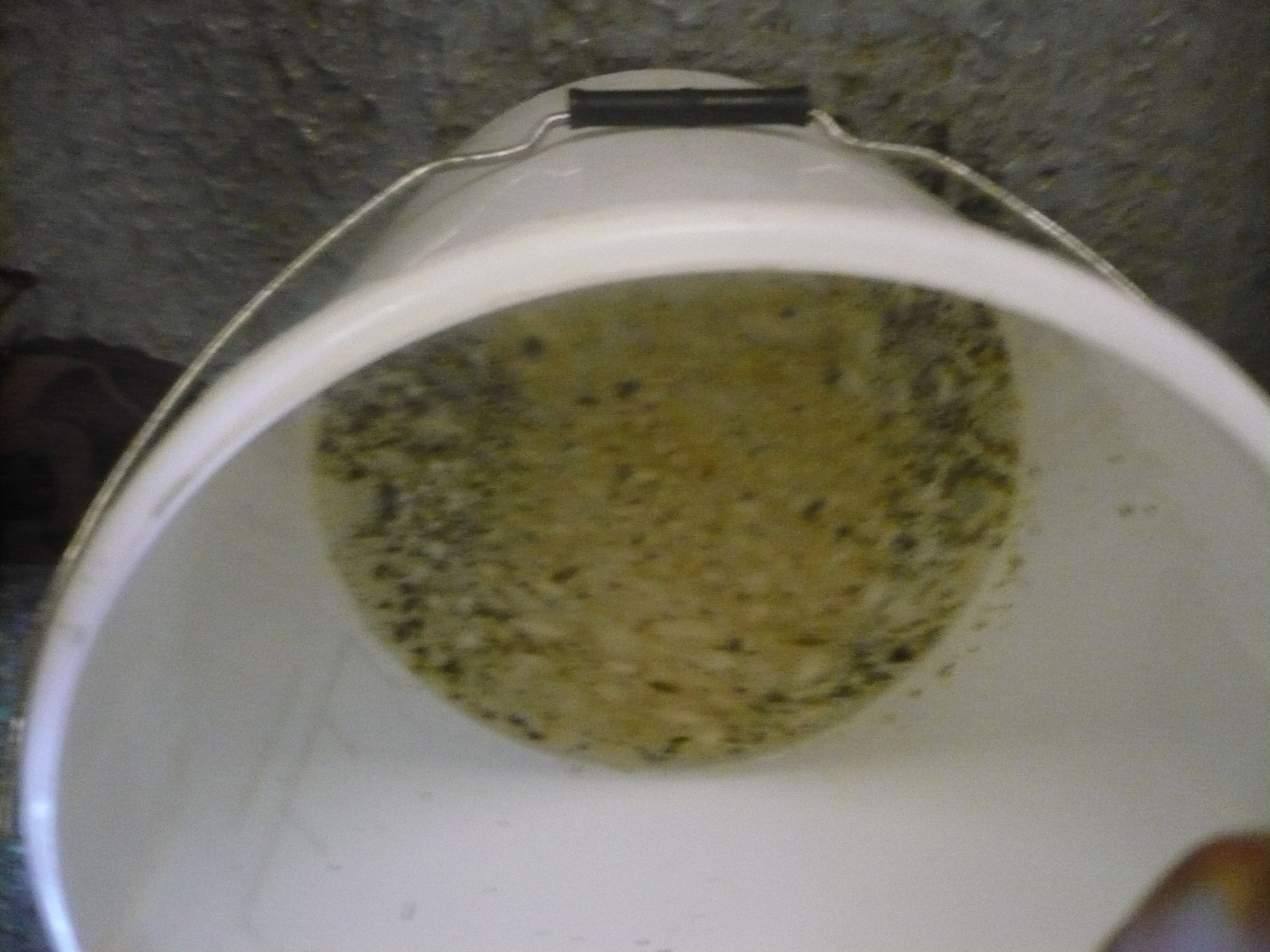 British - Stinging Nettle Beer : 8 Steps (with Pictures) - Instructables