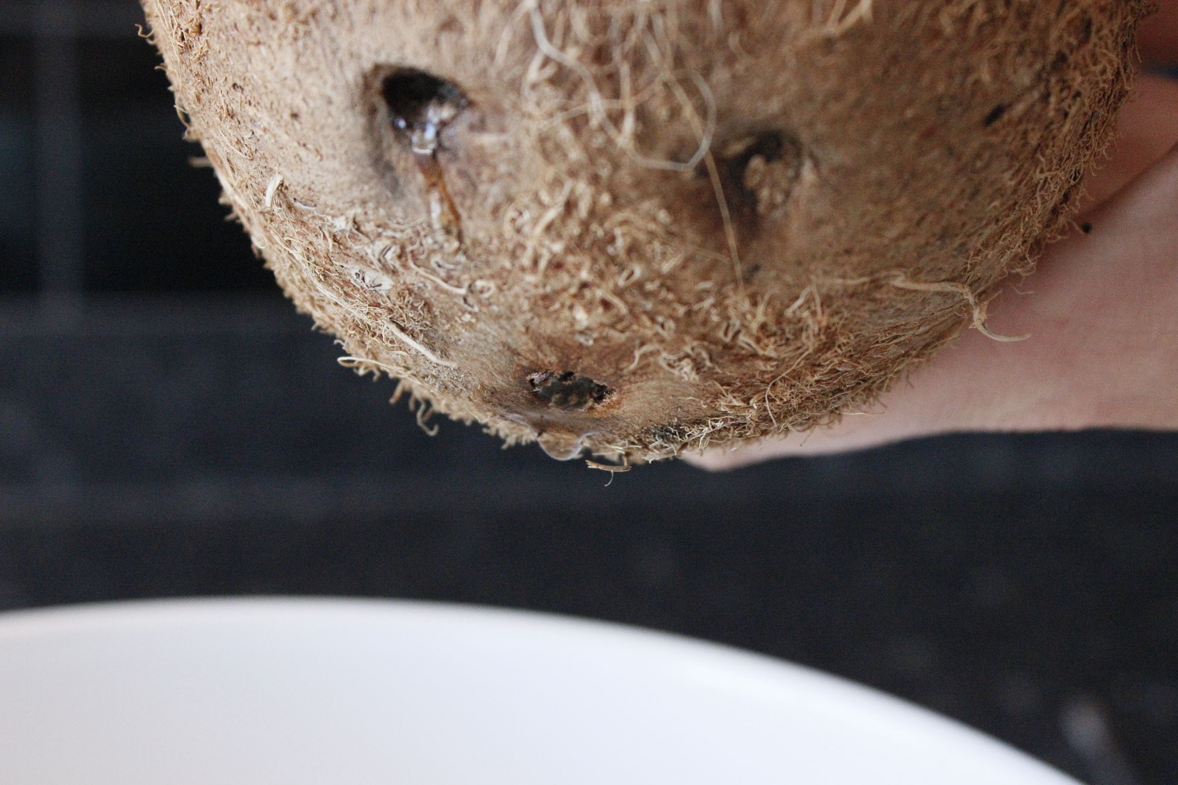 Crack Open a Coconut : 4 Steps - Instructables