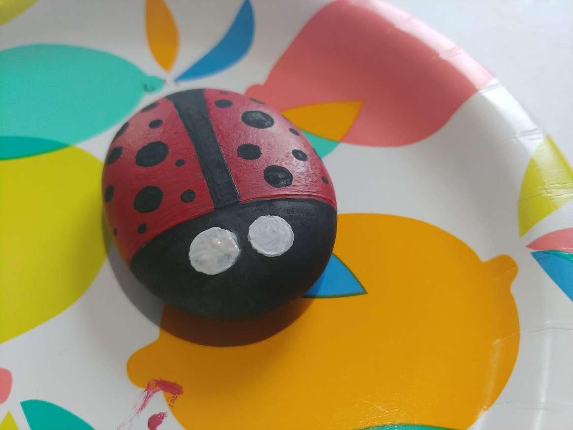 How to Paint a Cute, Decorative Ladybug : 10 Steps - Instructables