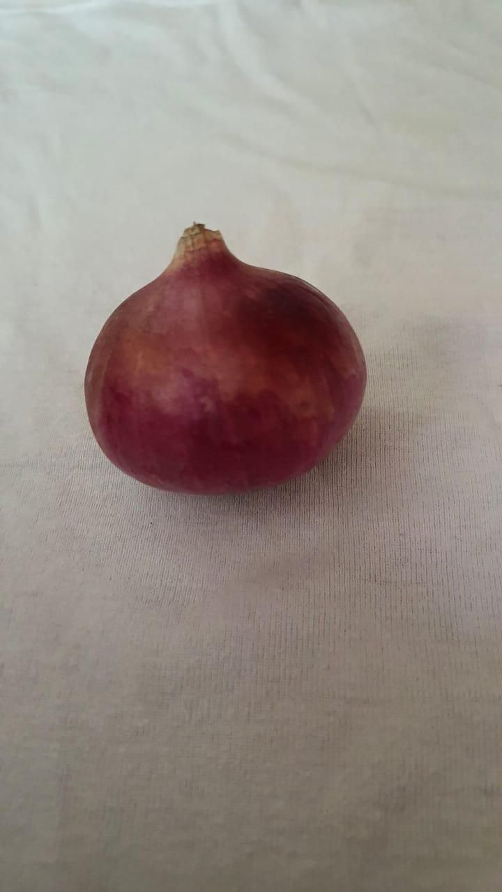 Onion Natural PH Indicator : 7 Steps (with Pictures) - Instructables