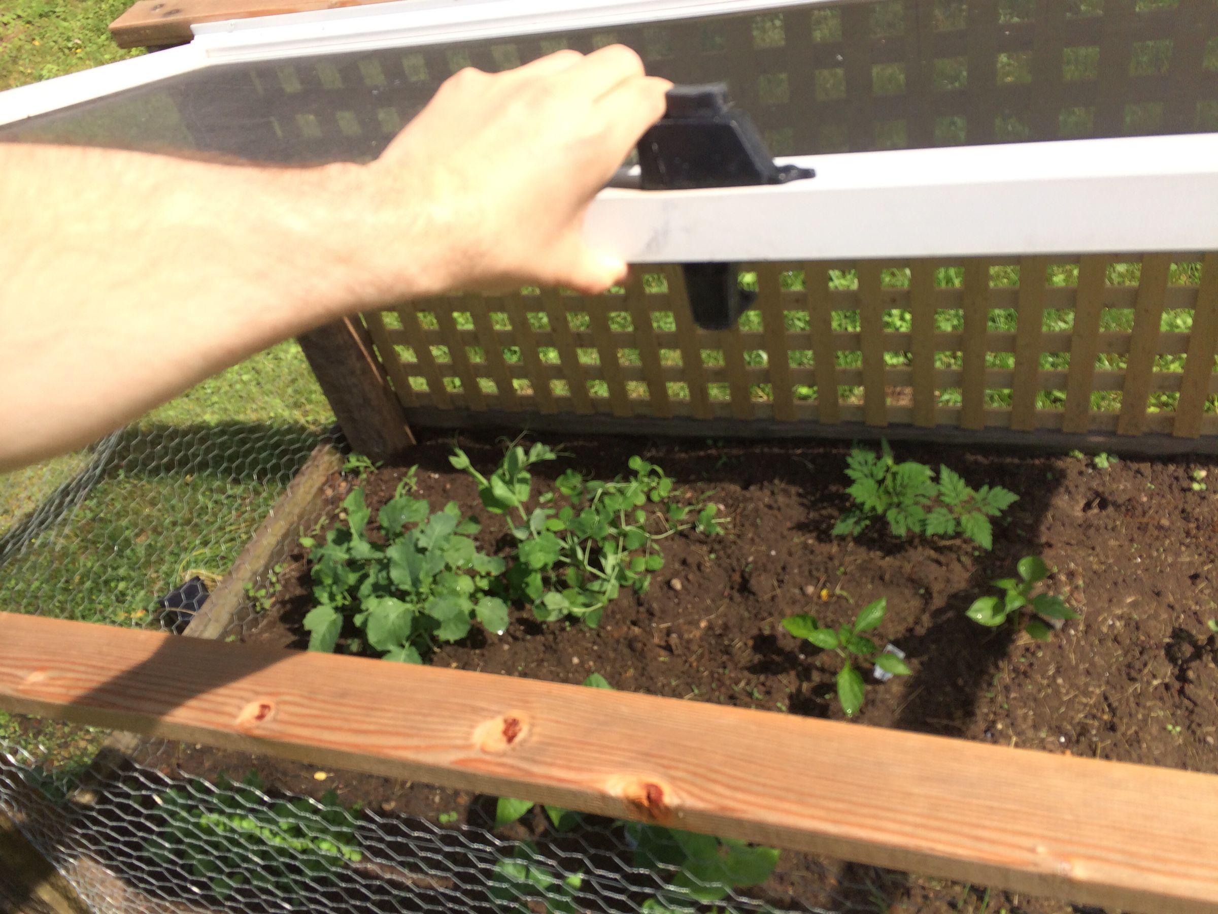 Garden Fortress to Stop Deer and Other Vegetable Predators : 5 Steps ...