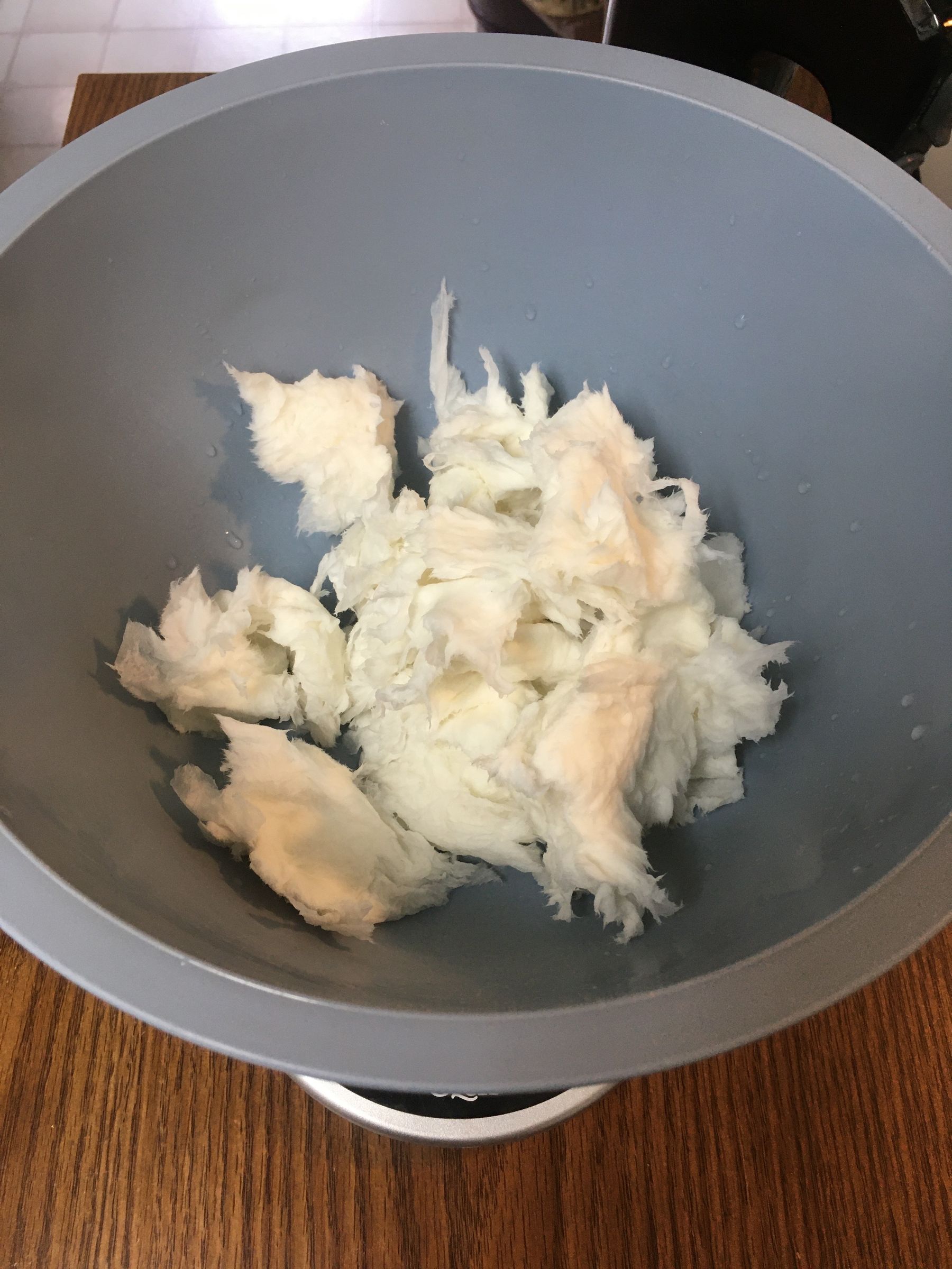 Barnacle Sculptures--and an Experiment With 2 Kinds of Homemade Paper ...