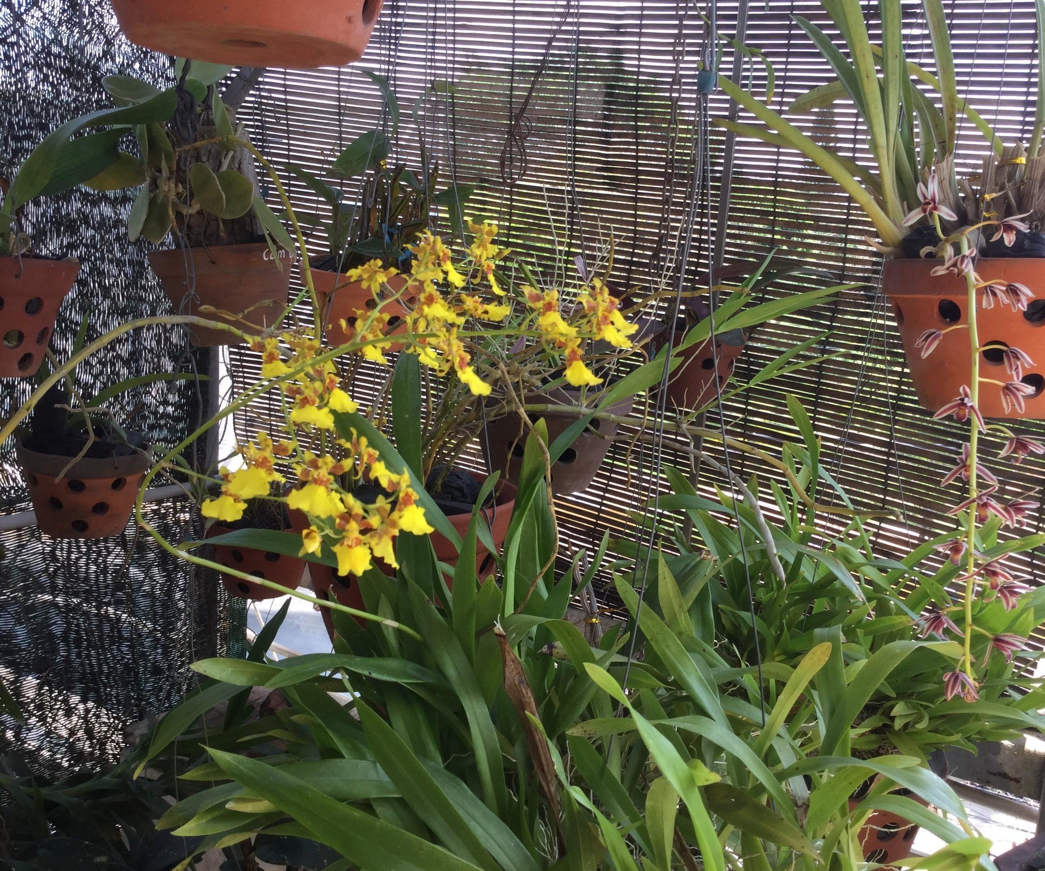 BLYNK & ESP8266: AUTOMATIC SOLAR-POWERED IRRIGATION SYSTEM : 7 Steps - Instructables