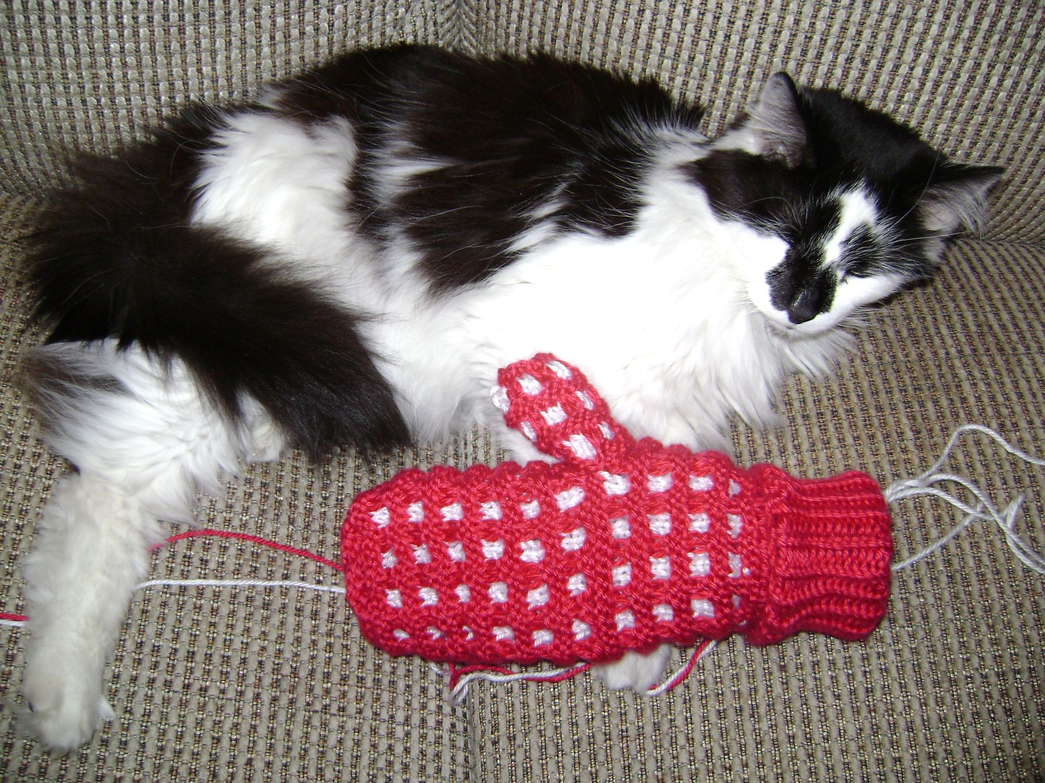Waffle Mittens for My Aunt - Instructables