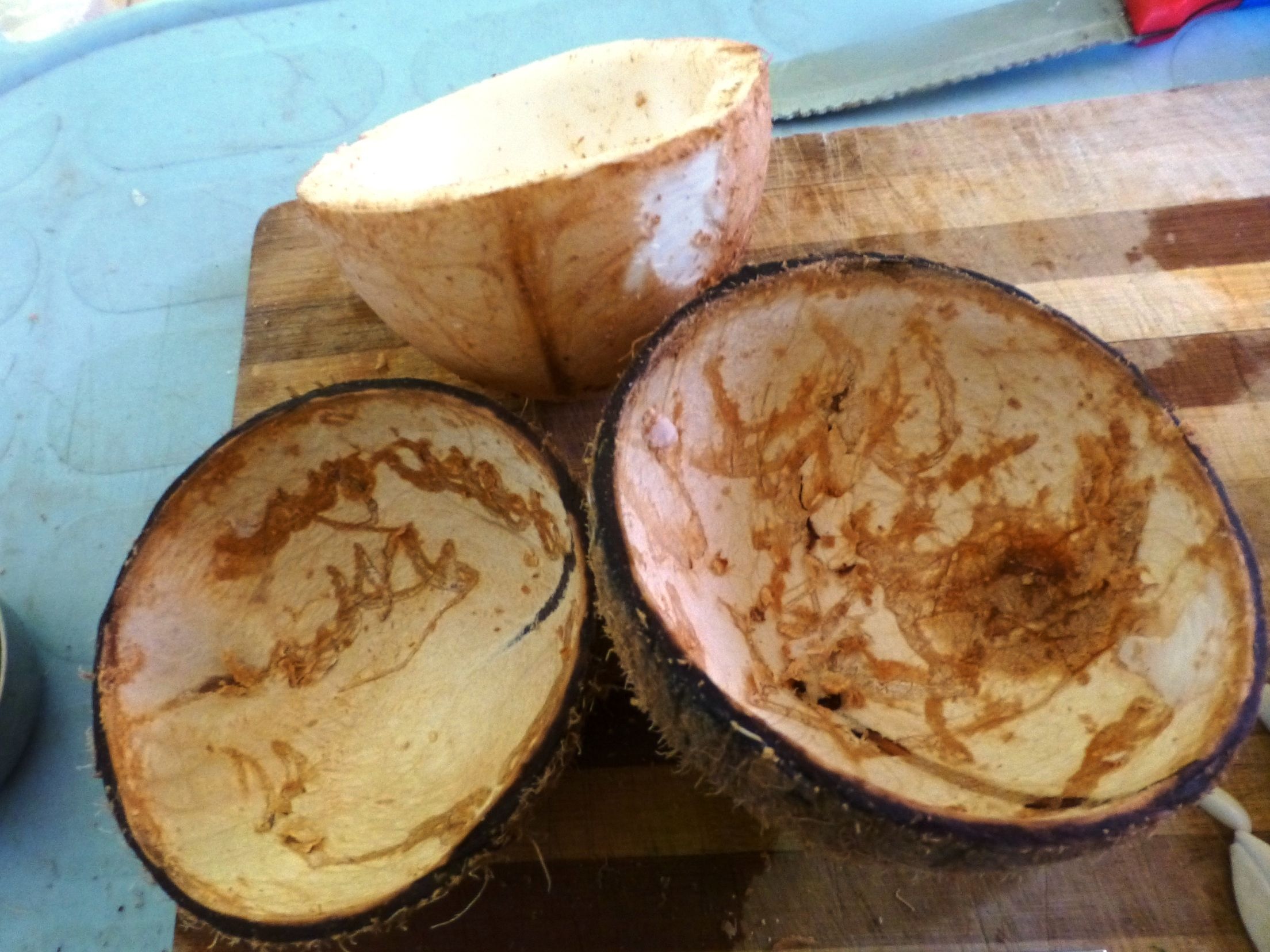 How to Perfectly Cut Open a Coconut Shell to Be Used in Other Craft ...