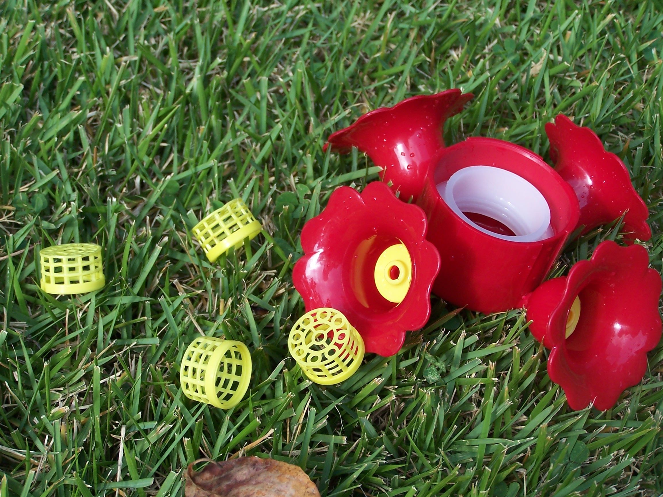 Hummingbirds: Feeder, Food, & More! : 11 Steps (with Pictures ...