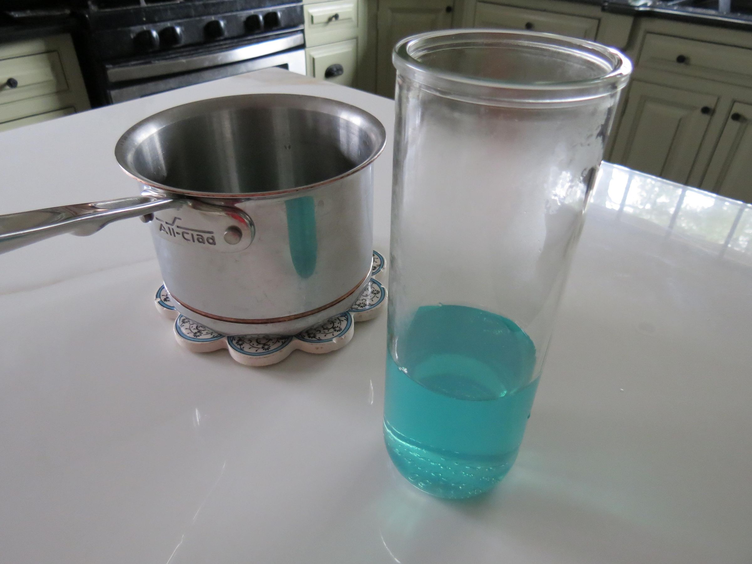 JELLO Jellyfish Aquarium : 9 Steps (with Pictures) - Instructables