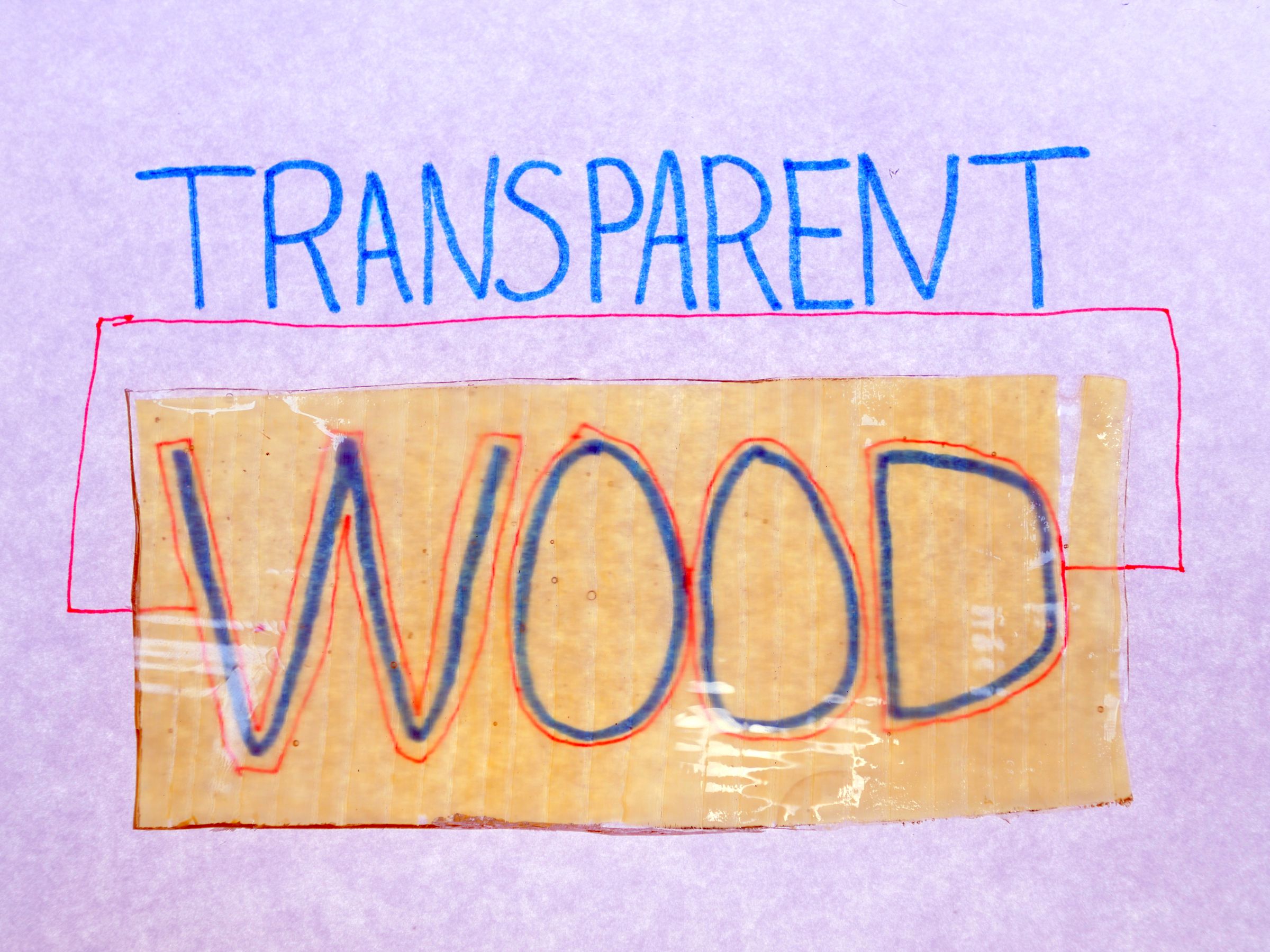 Transparent Wood : 10 Steps (with Pictures) - Instructables