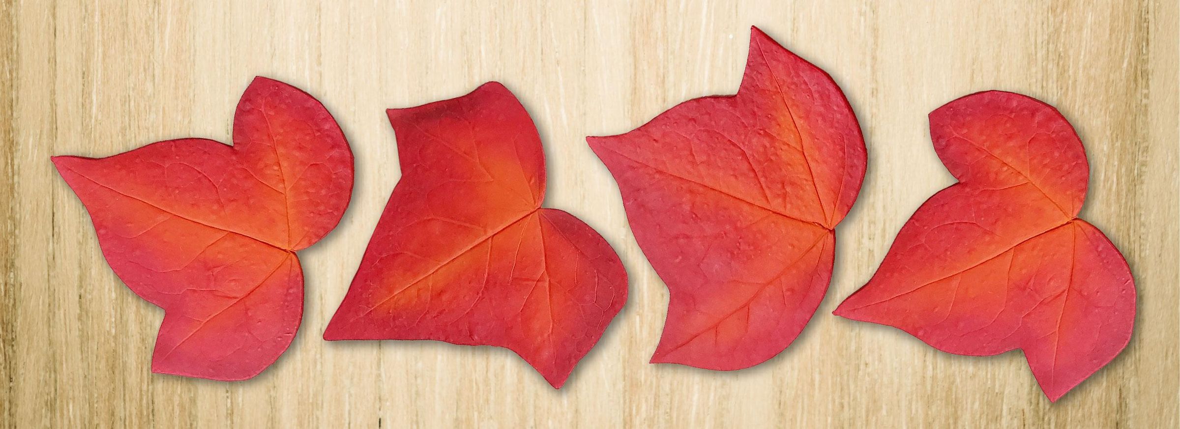 Bringing Autumn Indoors: Step-by-Step Red Leaf Coasters DIY : 12 Steps ...