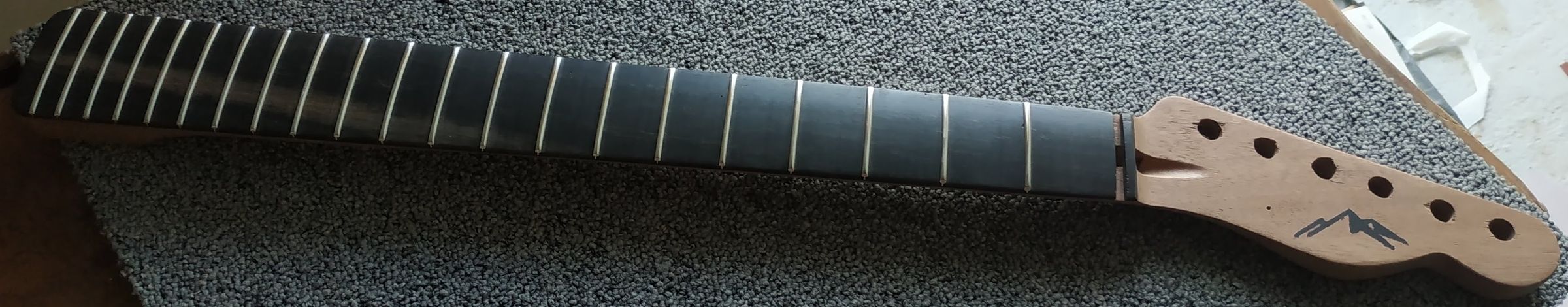 Building a Guitar: Telecaster Thinline : 12 Steps (with Pictures ...