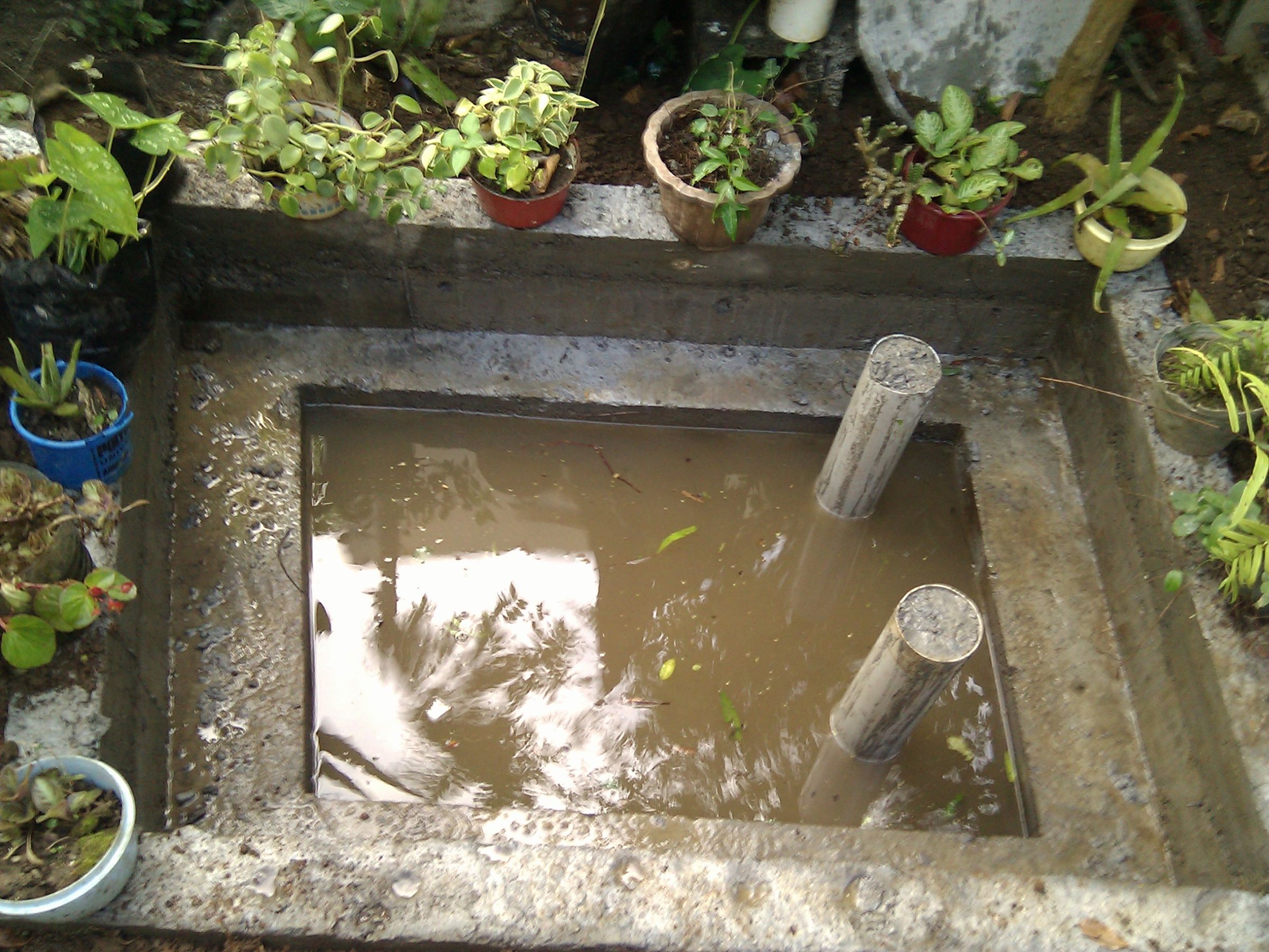 Concrete Pond : 9 Steps (with Pictures) - Instructables
