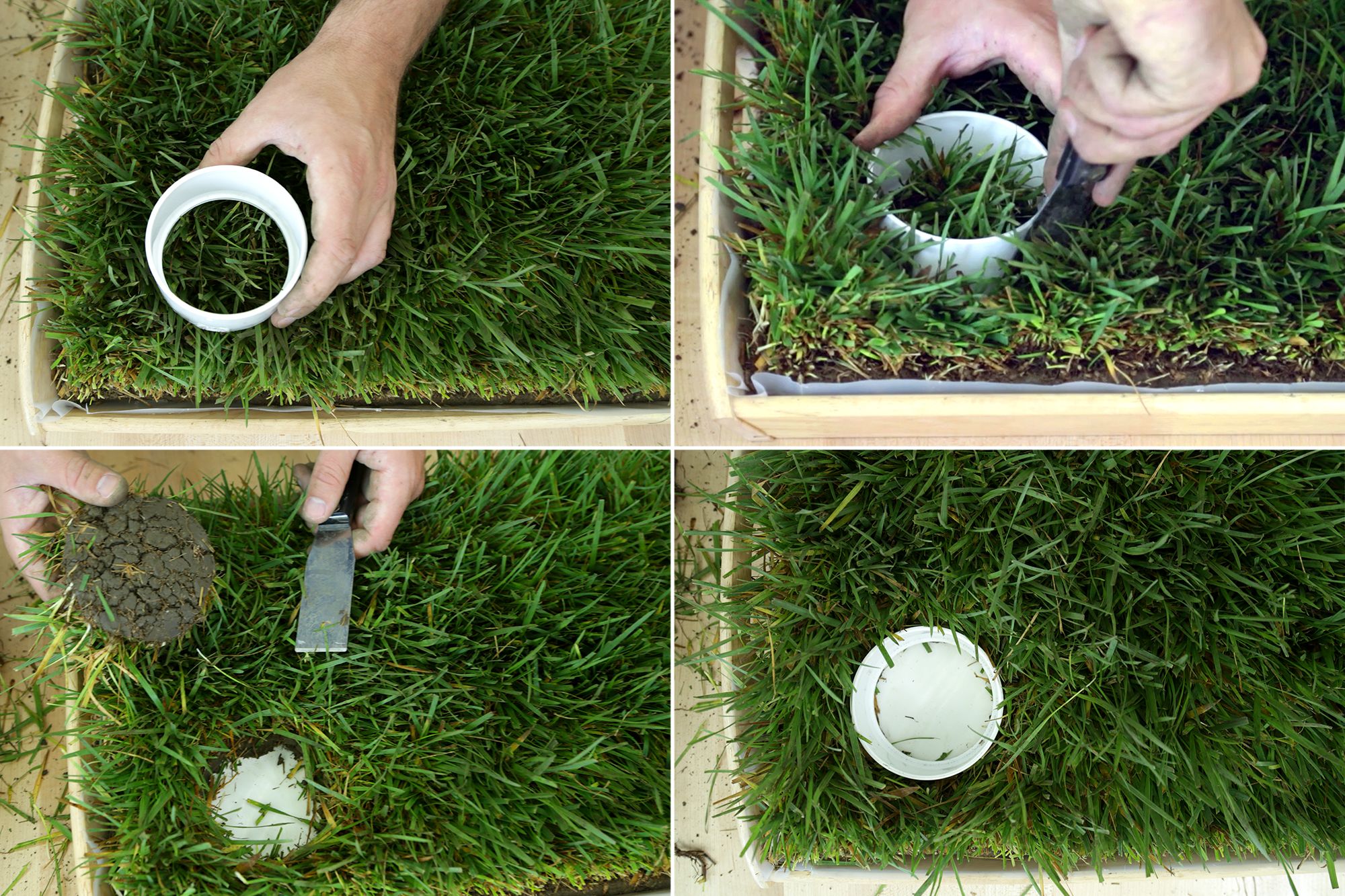 Grass Lunch Tray : 9 Steps (with Pictures) - Instructables
