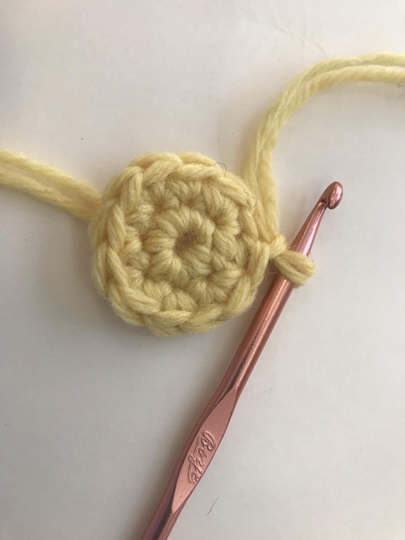 Ukrainian Crochet Flying Disc Dog Toy : 4 Steps - Instructables