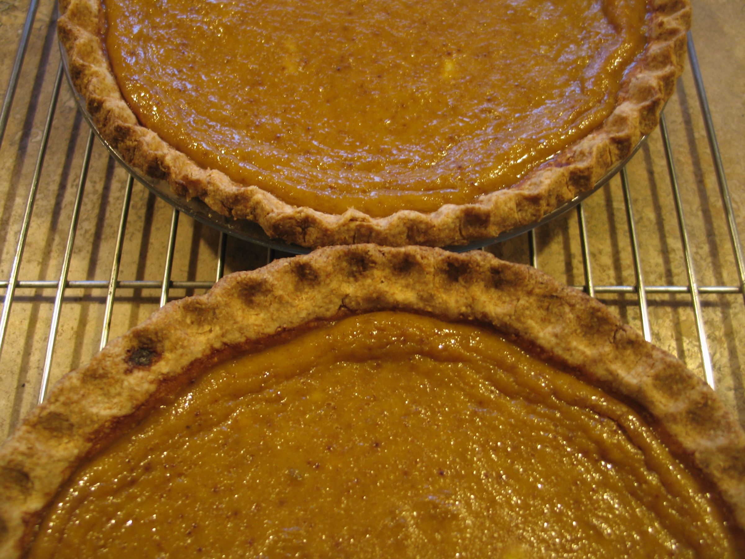 An Introduction to Whole Wheat Pie Crusts : 7 Steps (with Pictures ...