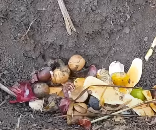 The Art of Composting: How to Turn Kitchen Scraps Into Garden Gold : 6 ...