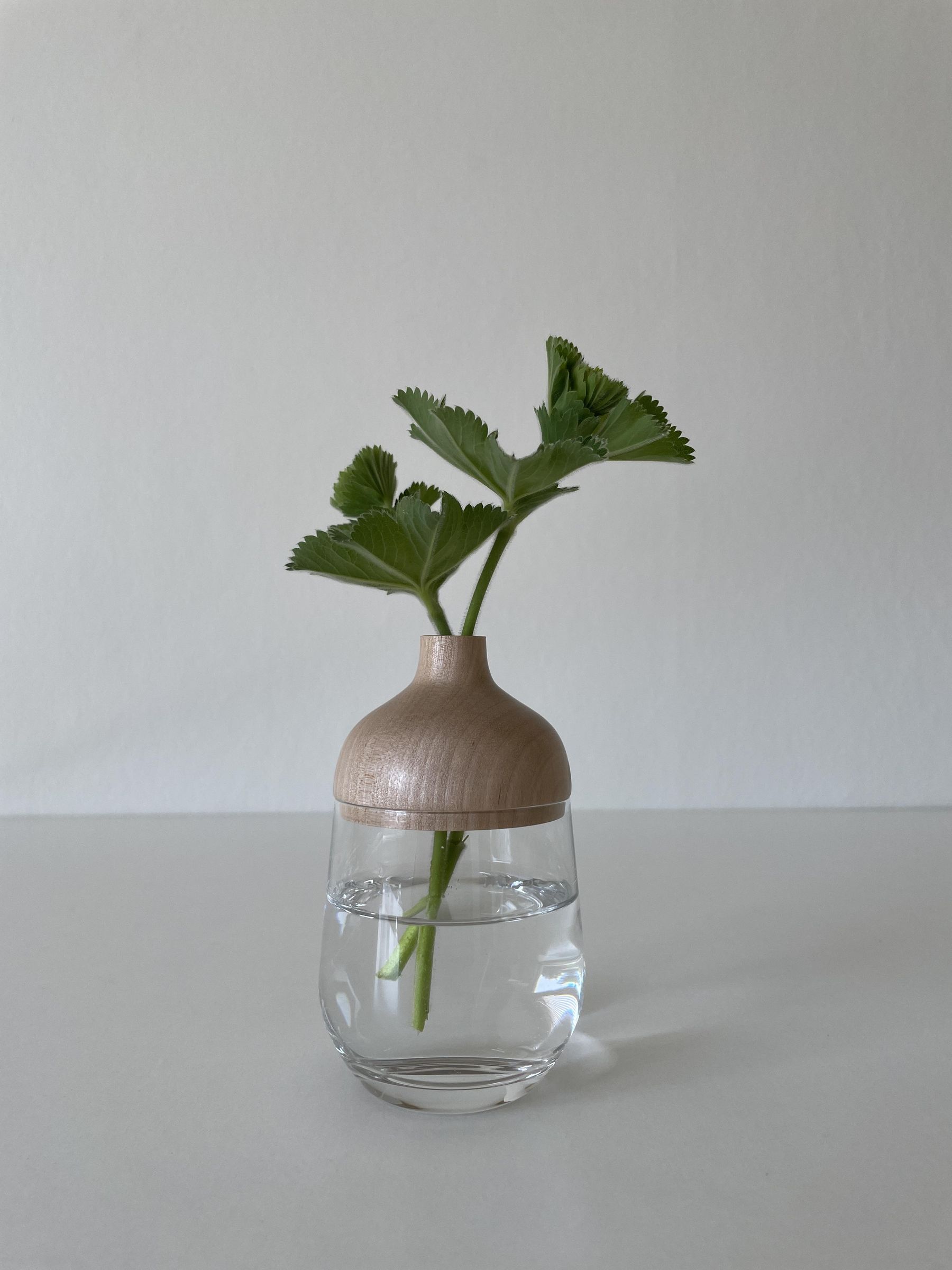 Turn/reuse Your Glasses in to Vases : 9 Steps (with Pictures ...