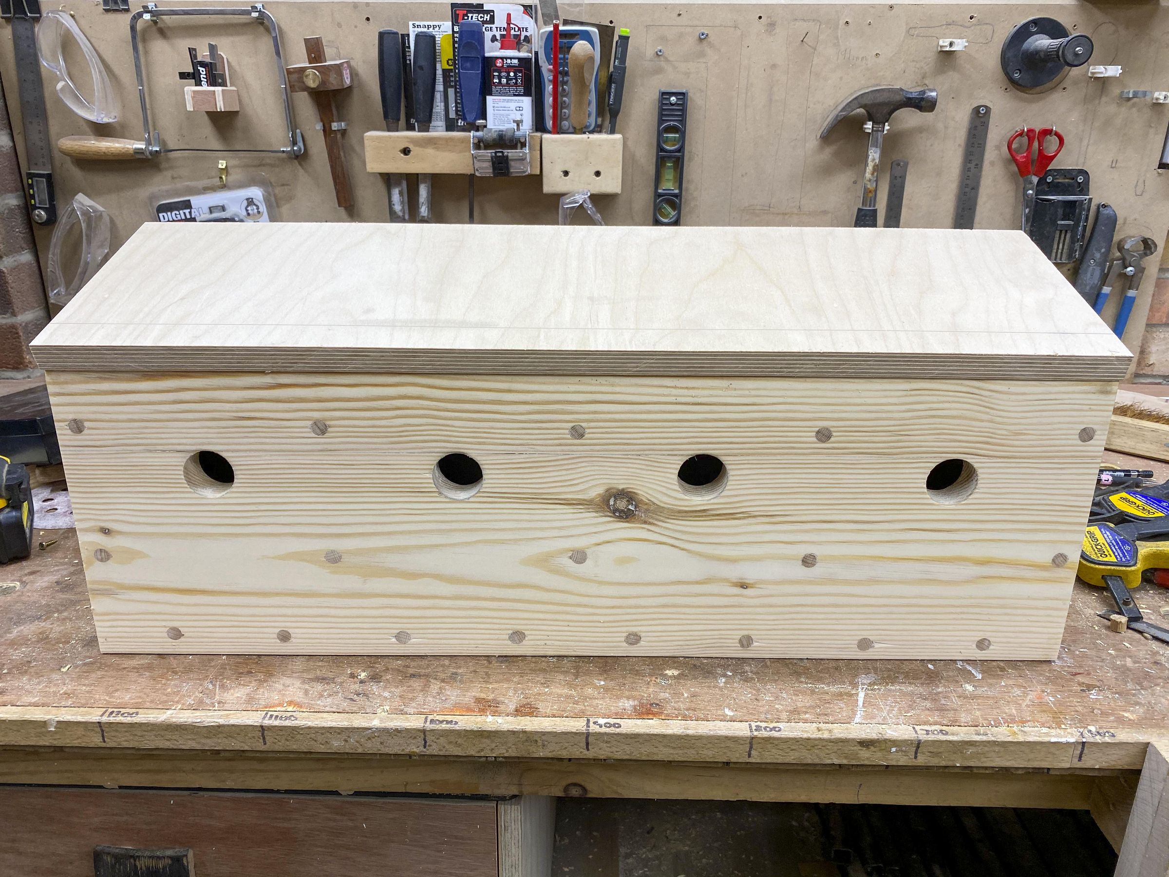 🐦 House Sparrow 🐦 Bird Box Terrace 🐦 : 11 Steps (with Pictures ...