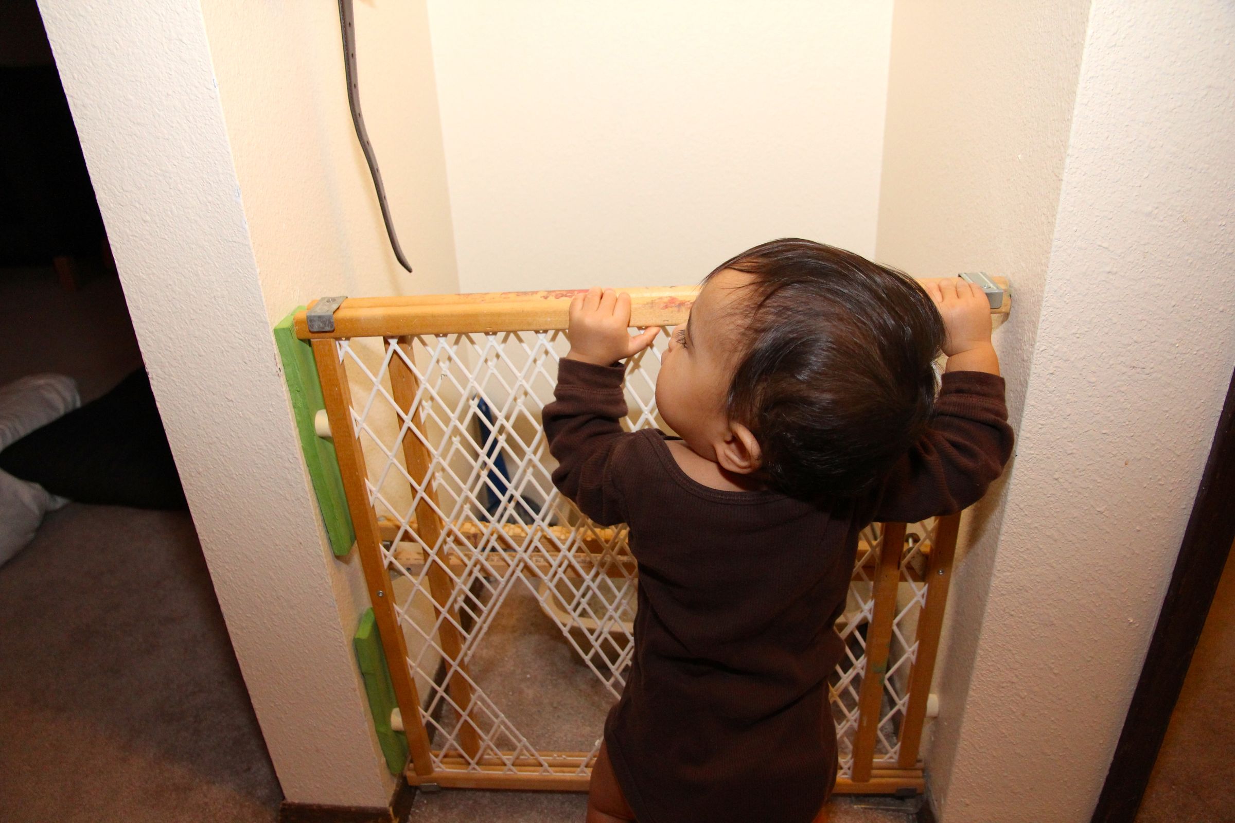 Litter Box Protection With Baby Gate and Cat Door - Instructables