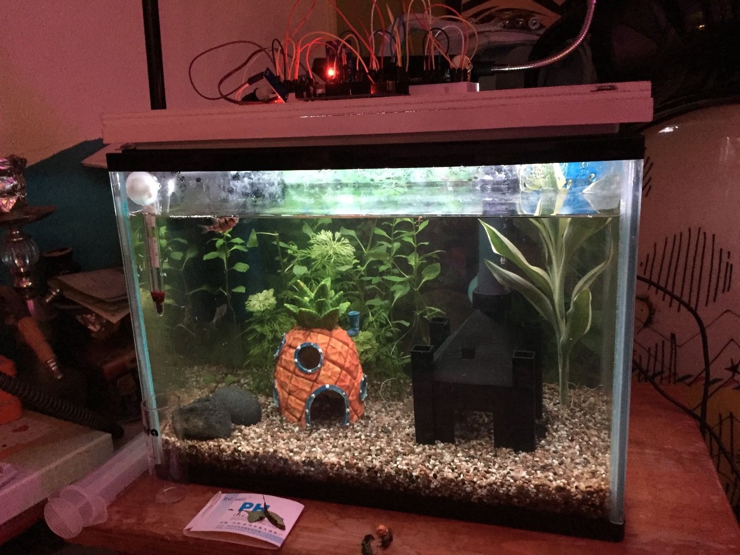 Arduino - Digital Clock With Aquarium RGB Light Control : 4 Steps ...