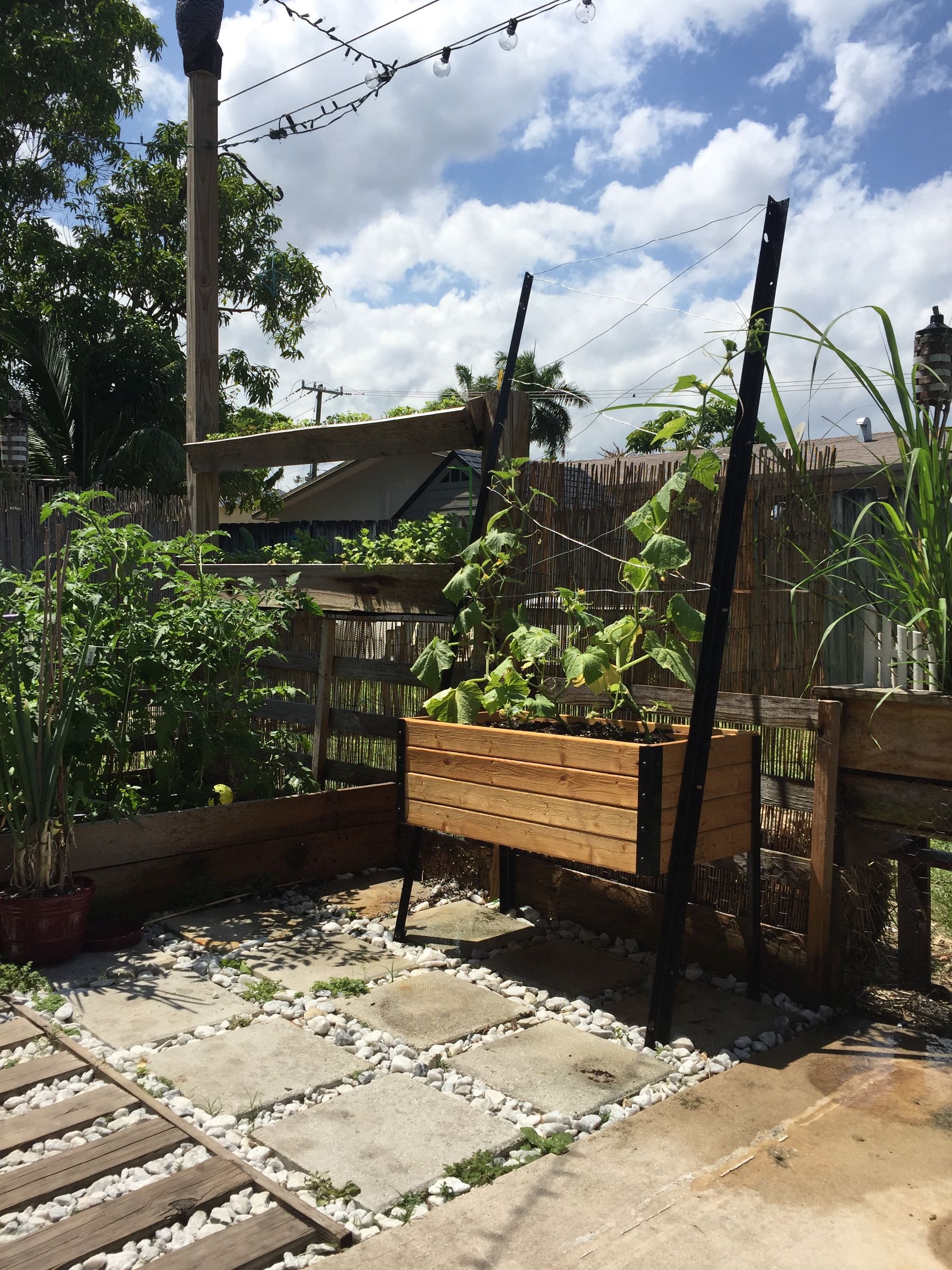 My $10 Reclaimed Climbing Vine Planter Box! : 3 Steps (with Pictures ...