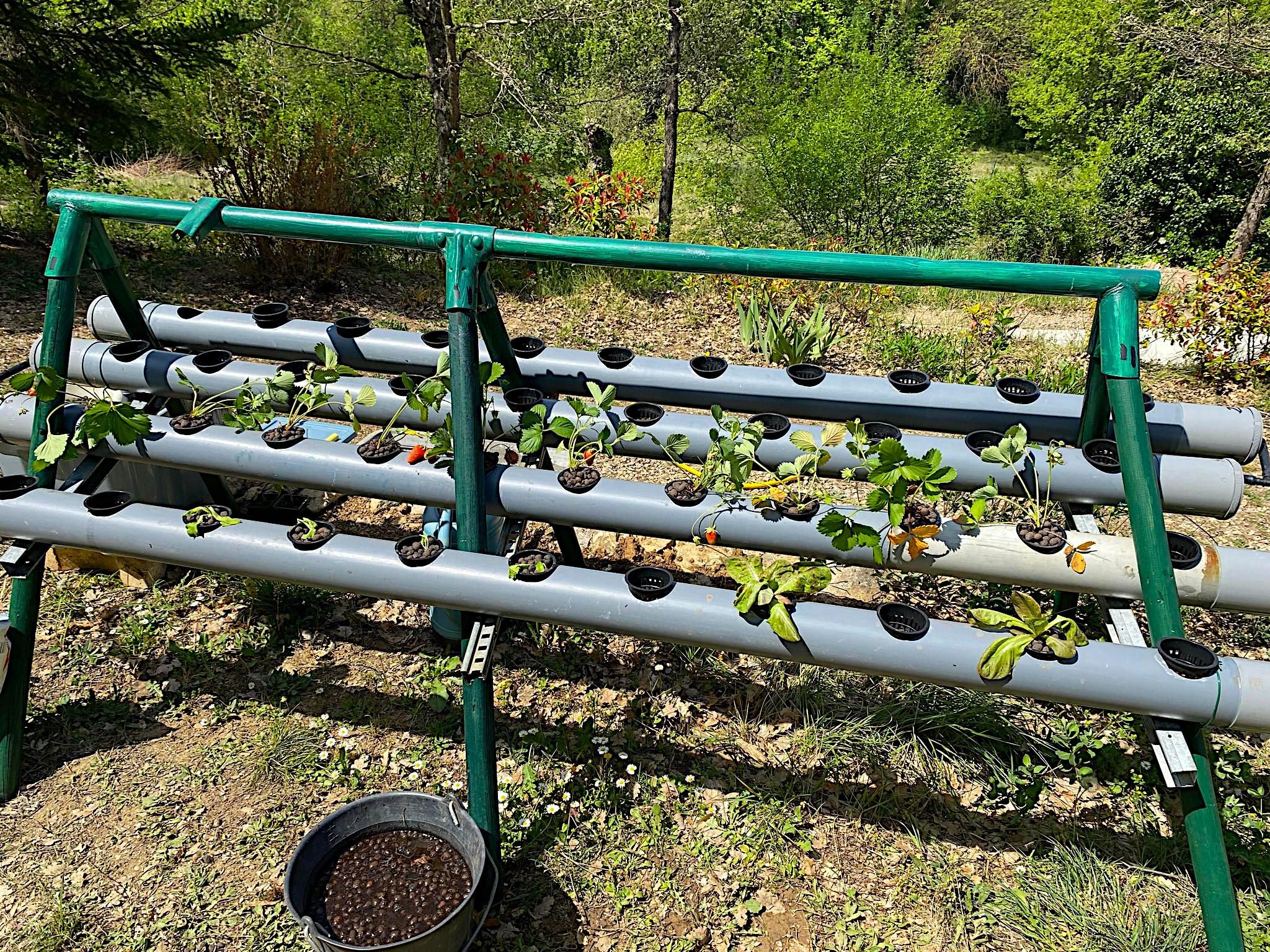 Autonomous PVC Hydroponic Garden From an Old A-Frame Metal Swing : 9 ...