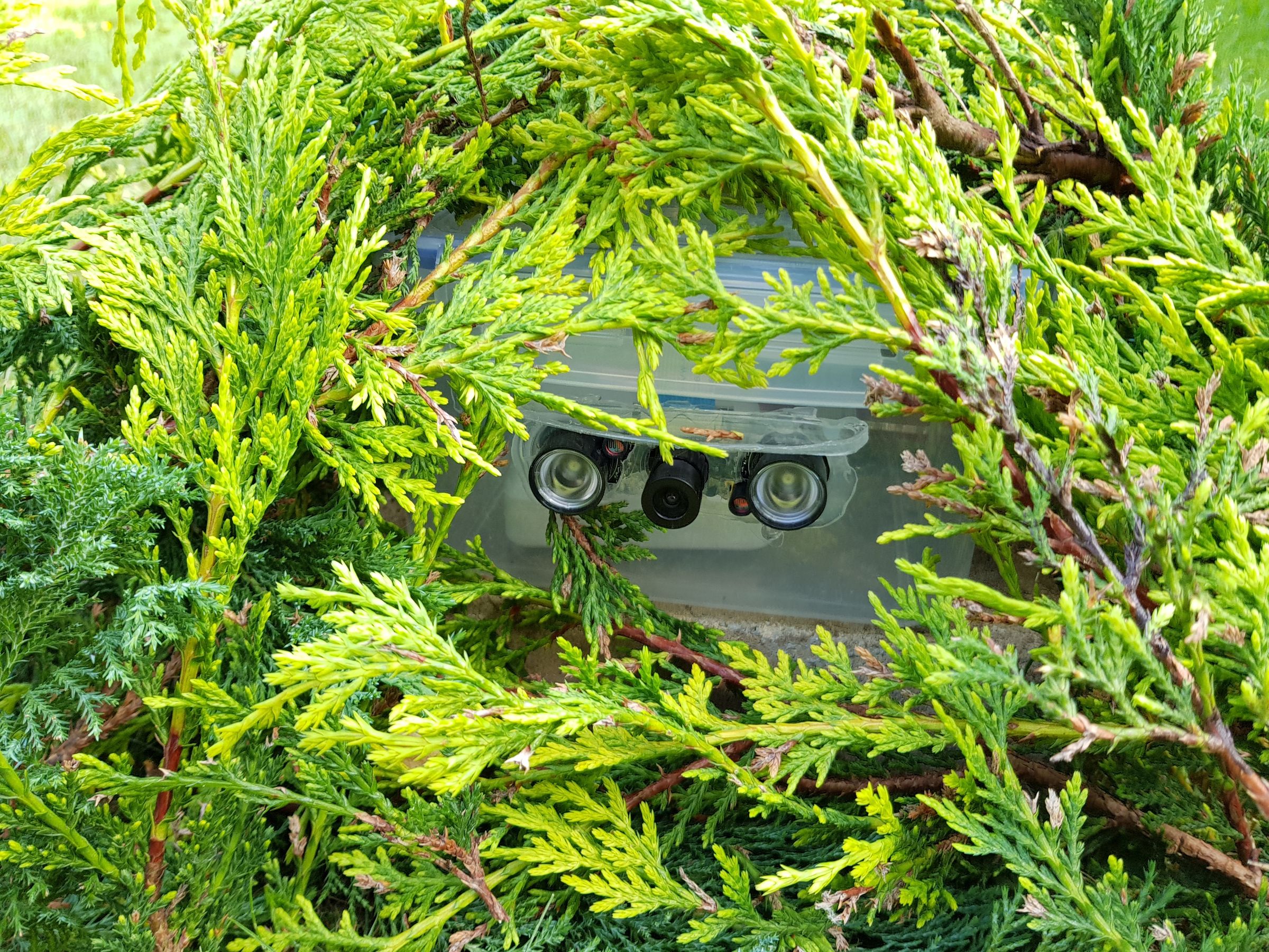 Simple Raspberry Pi Camera Trap Made From a Food Container : 6 Steps (with Pictures) - Instructables