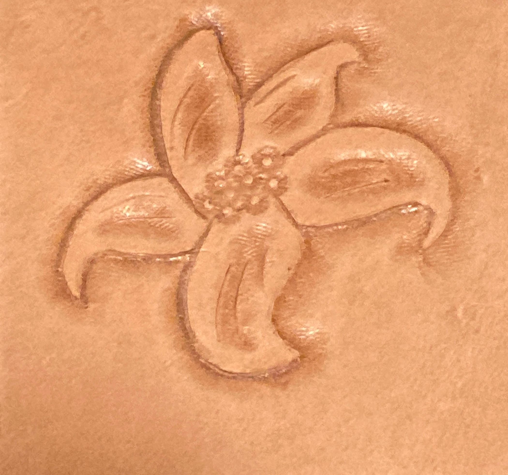 Simple Leather Carving : 10 Steps (with Pictures) - Instructables