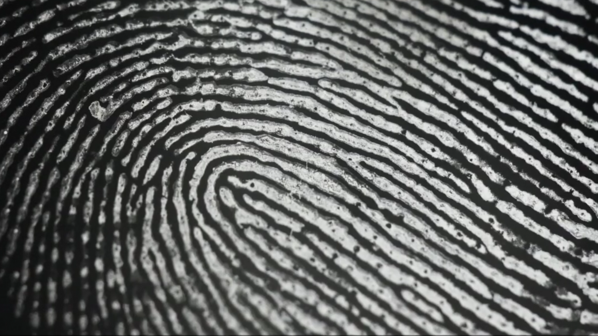 How to Lift Fingerprints: Cyanoacrylate (Super Glue) Fuming : 6 Steps ...