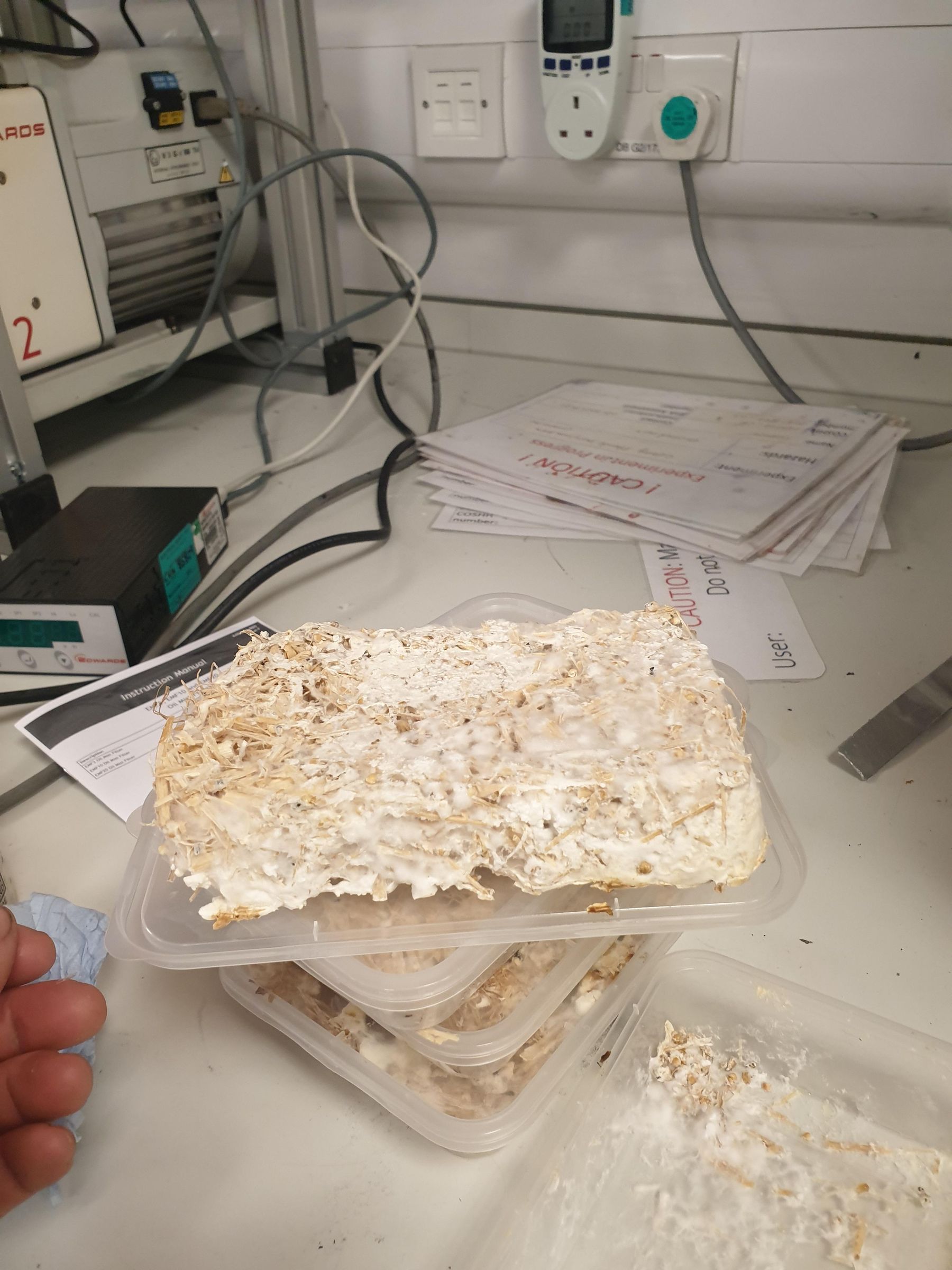 Growing Mycelium Materials at Home : 6 Steps - Instructables