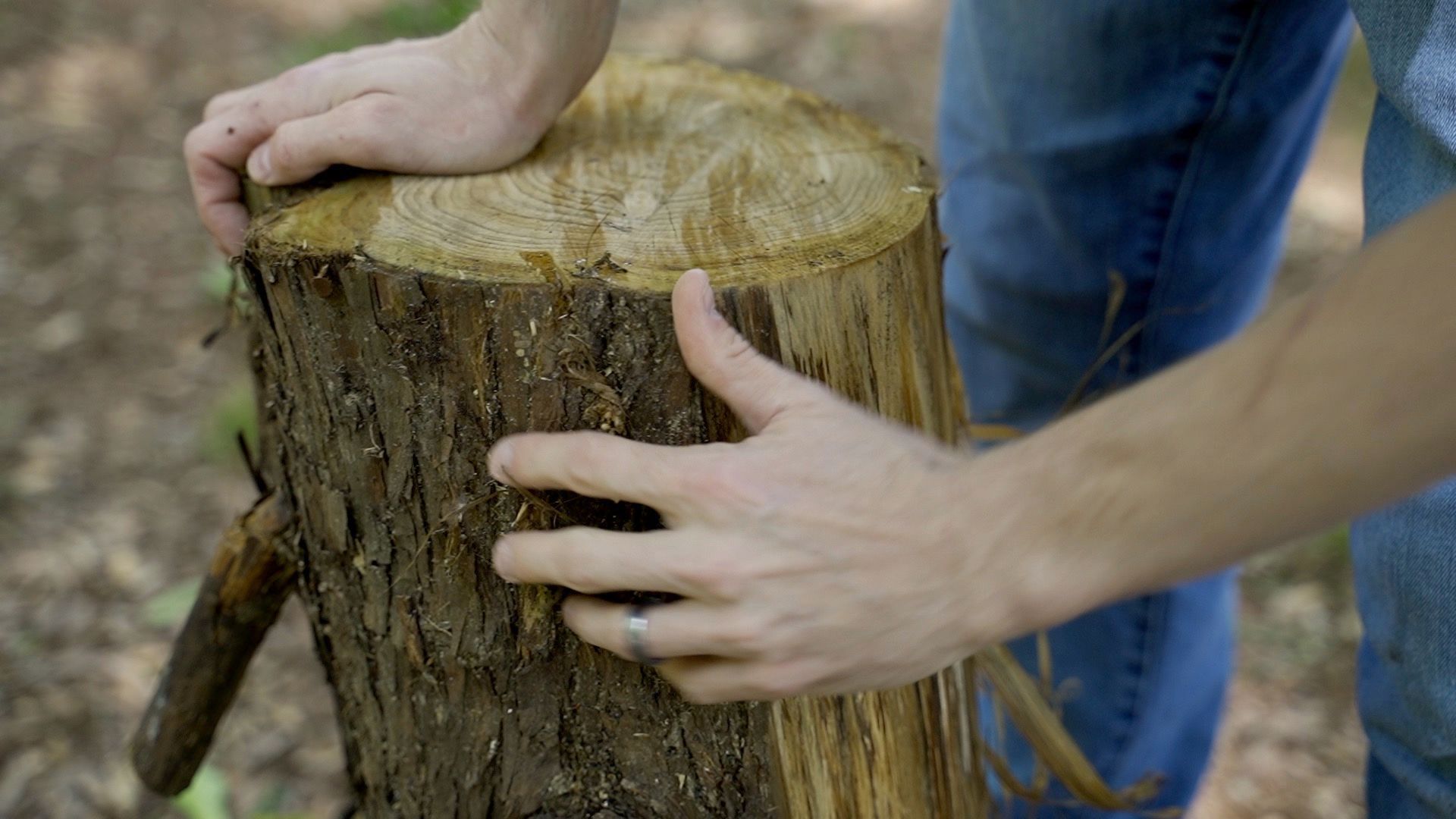 Carving a Baby Groot From Wood : 8 Steps (with Pictures) - Instructables