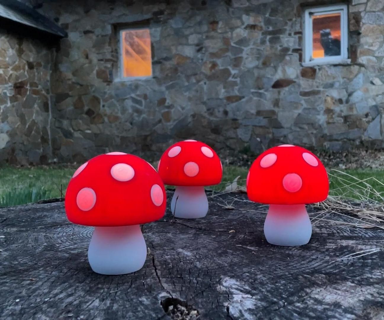 LED Mushrooms : 10 Steps (with Pictures) - Instructables