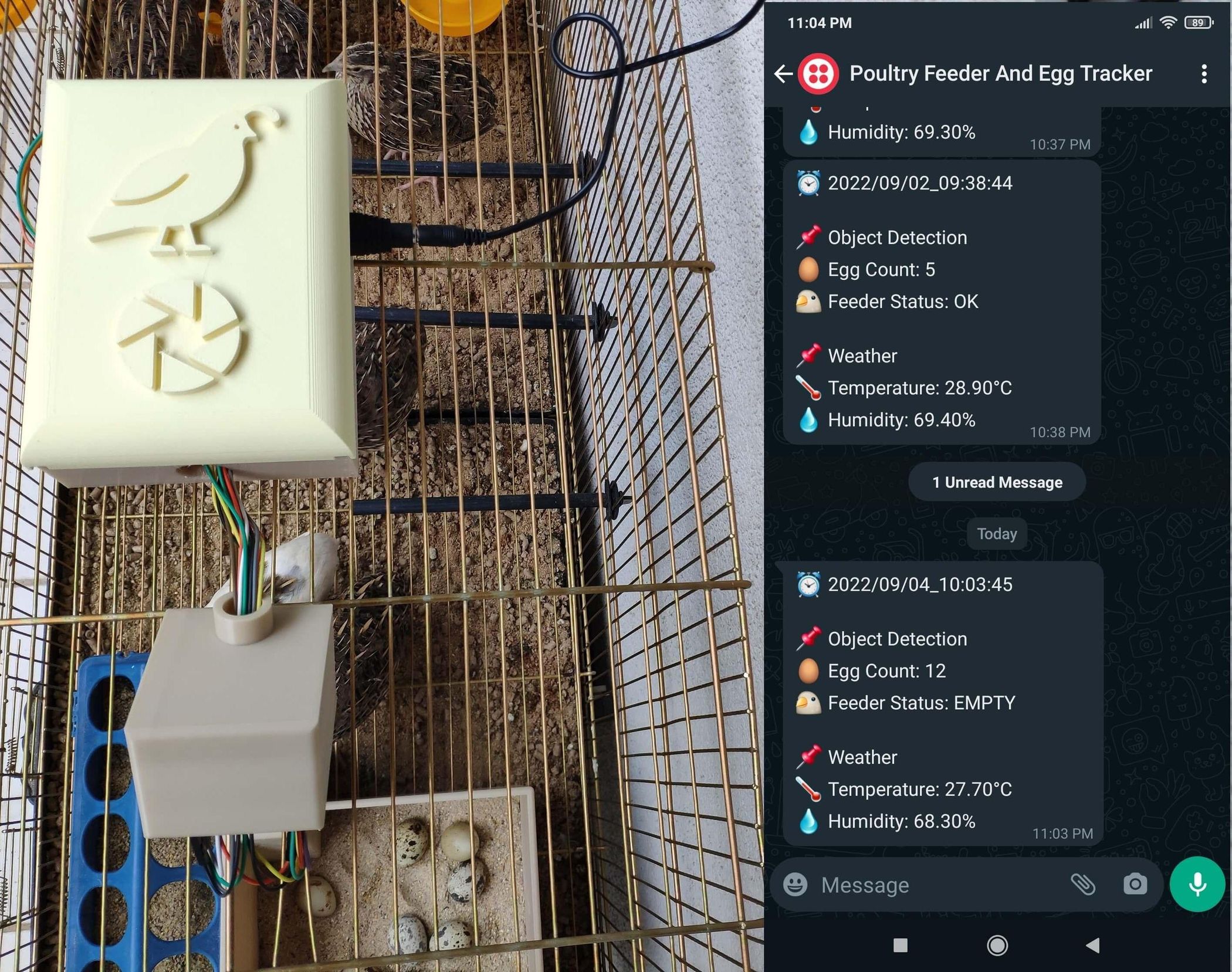 IoT AI-driven Poultry Feeder and Unhatched Egg Tracker W/ WhatsApp : 20 ...