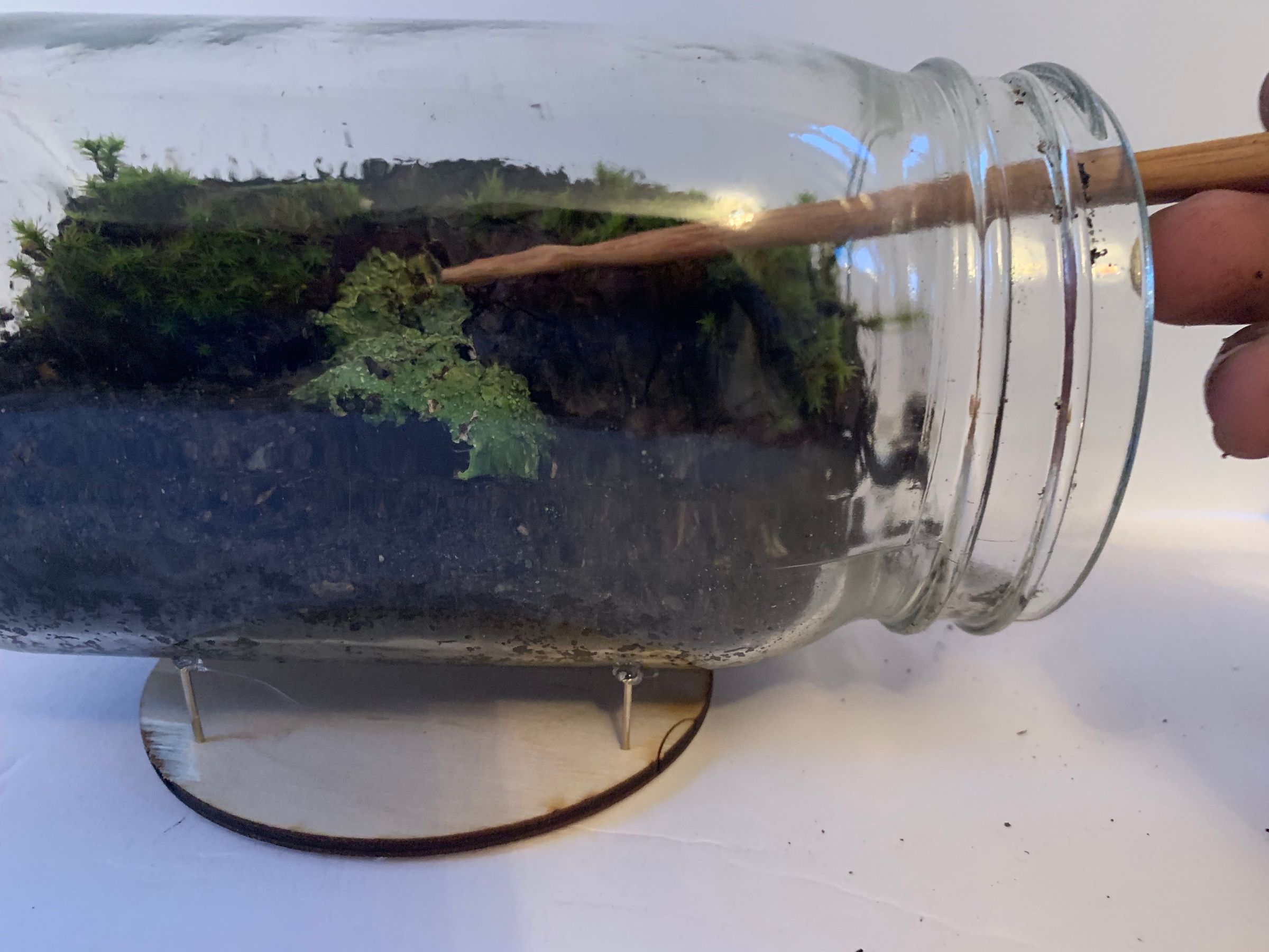 How to Build a Mason Jar Terrarium : 7 Steps - Instructables