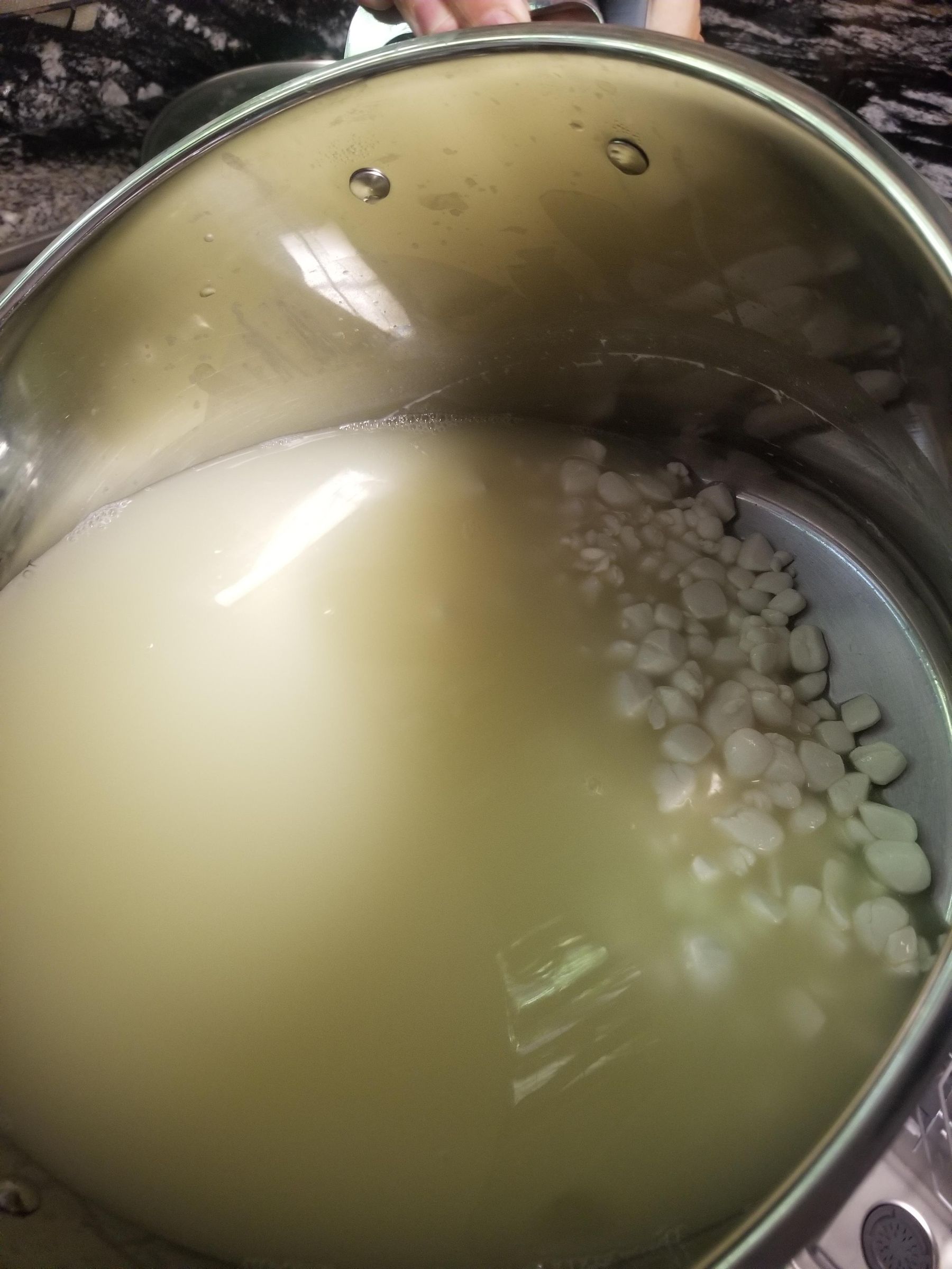 Advanced Cheesemaking : Pepper Appenzeller Cheese (with Farm Fresh Milk ...