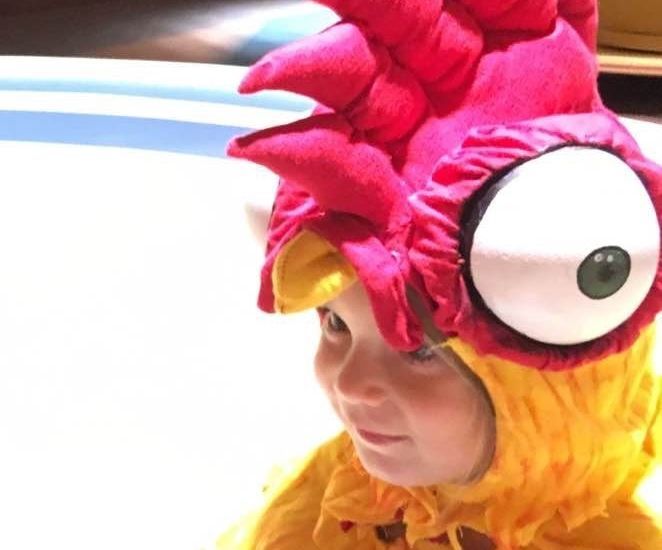 Hei Hei Rooster in a Hen House : 5 Steps - Instructables