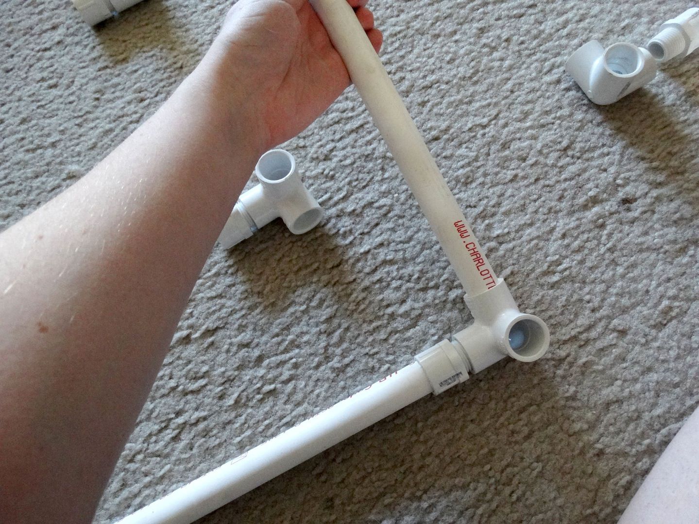 Raising Giant Silk Moths : 15 Steps (with Pictures) - Instructables