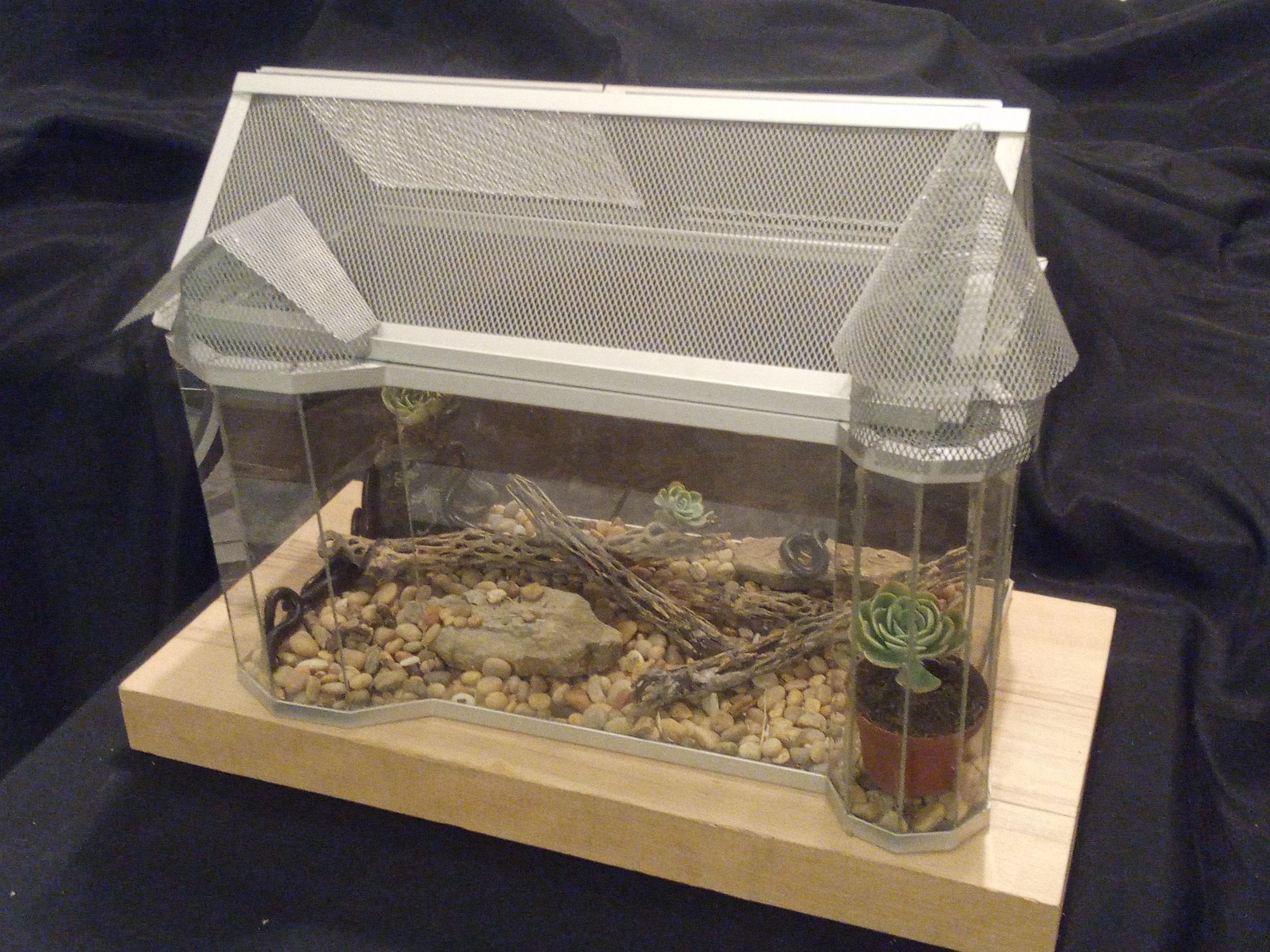 Victorian Insectarium : 18 Steps (with Pictures) - Instructables