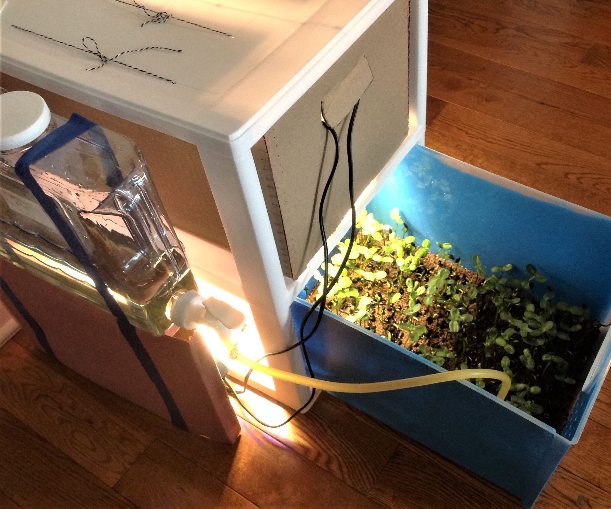 Growing Cube With Drawer for Spacecraft - Year-Round Indoor Salad ...
