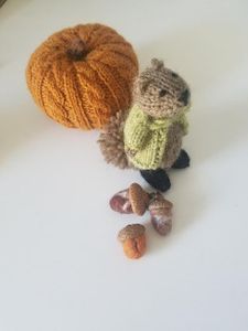 Fall Squirrel Knitting Pattern : 8 Steps (with Pictures) - Instructables