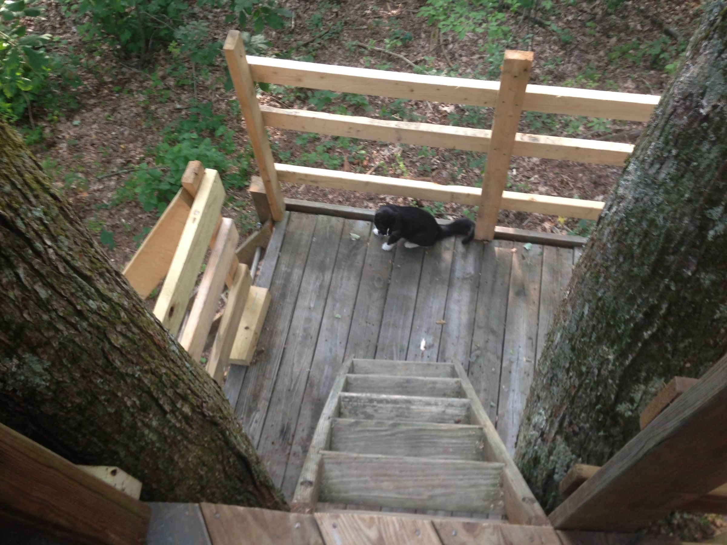 Multi Level Tree House From Recycled Materials : 10 Steps (with ...