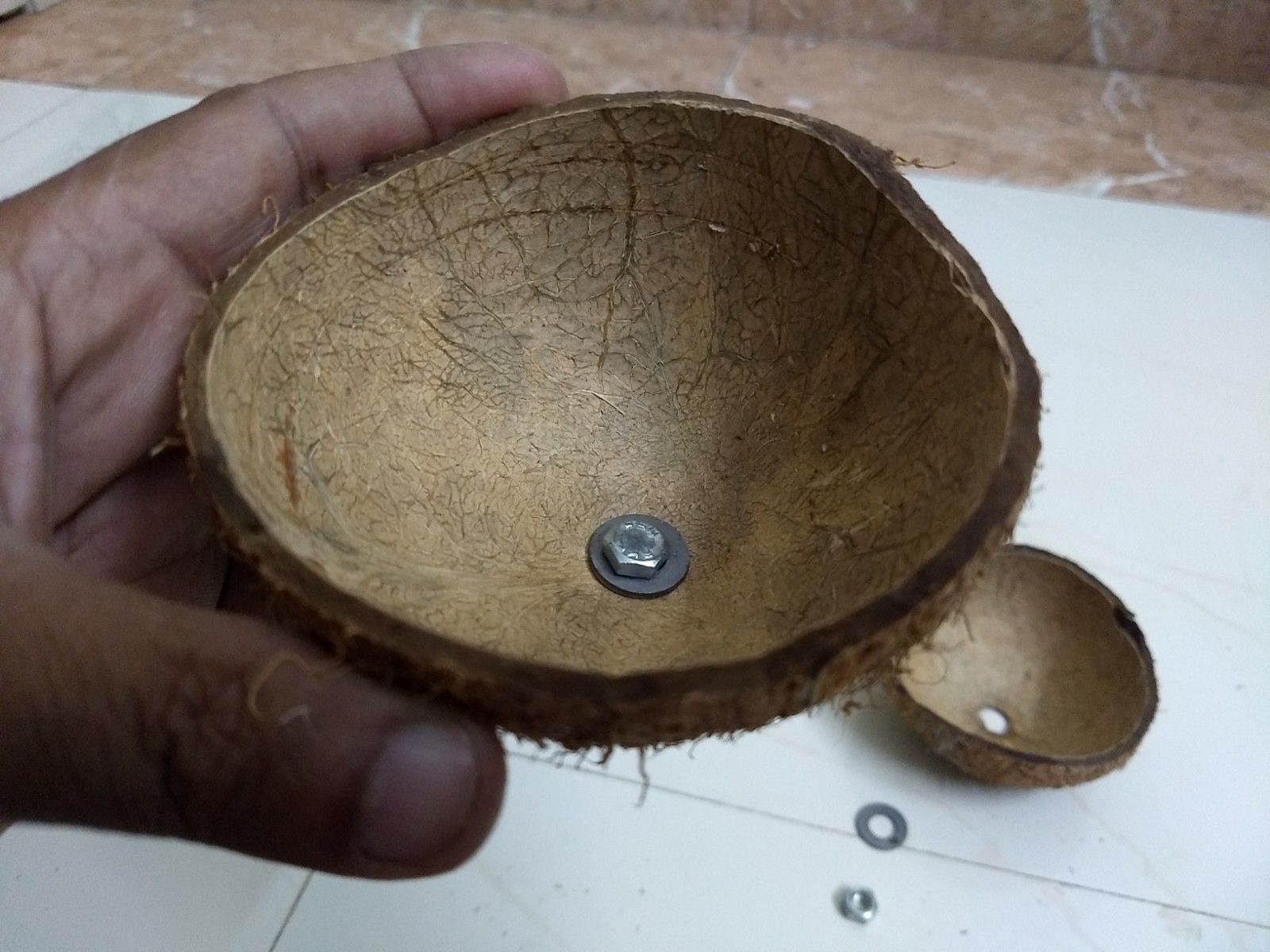 Planter Made From Used Coconut : 4 Steps - Instructables