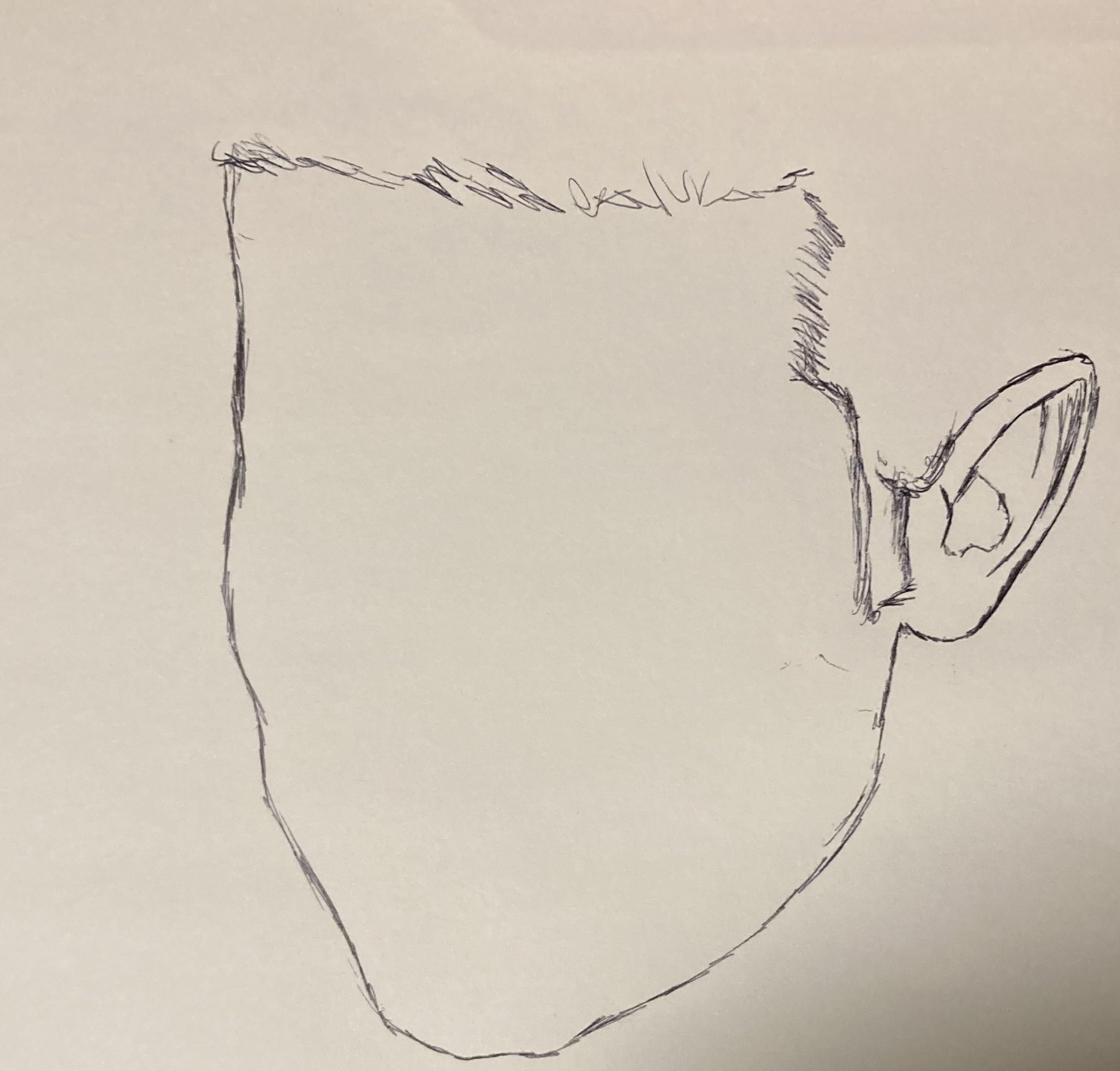 How to Sketch a Free-hand Portrait Using a Reference : 10 Steps ...