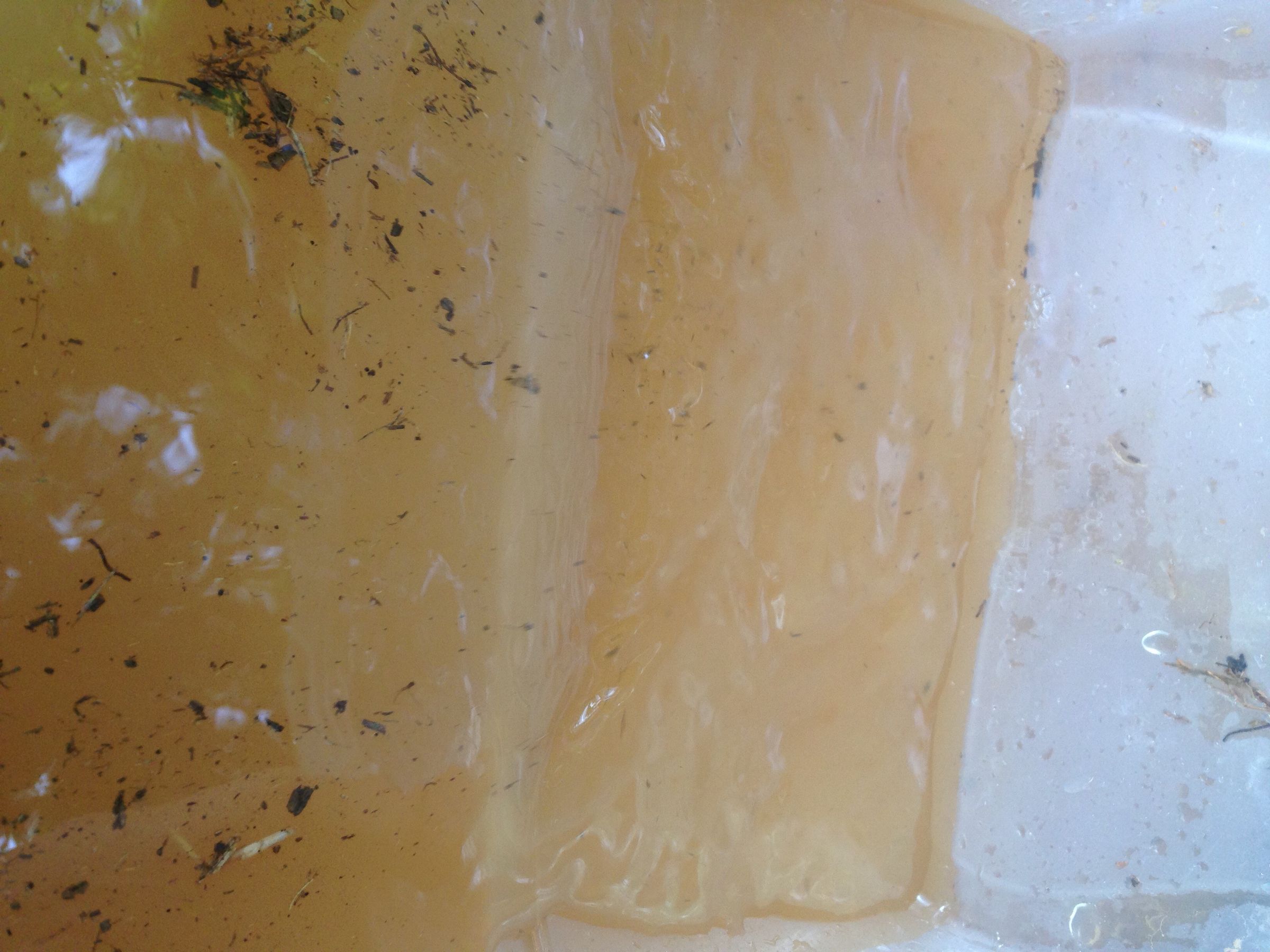 Harvesting Your Own Clay, Dirty But Delightful! : 22 Steps (with ...
