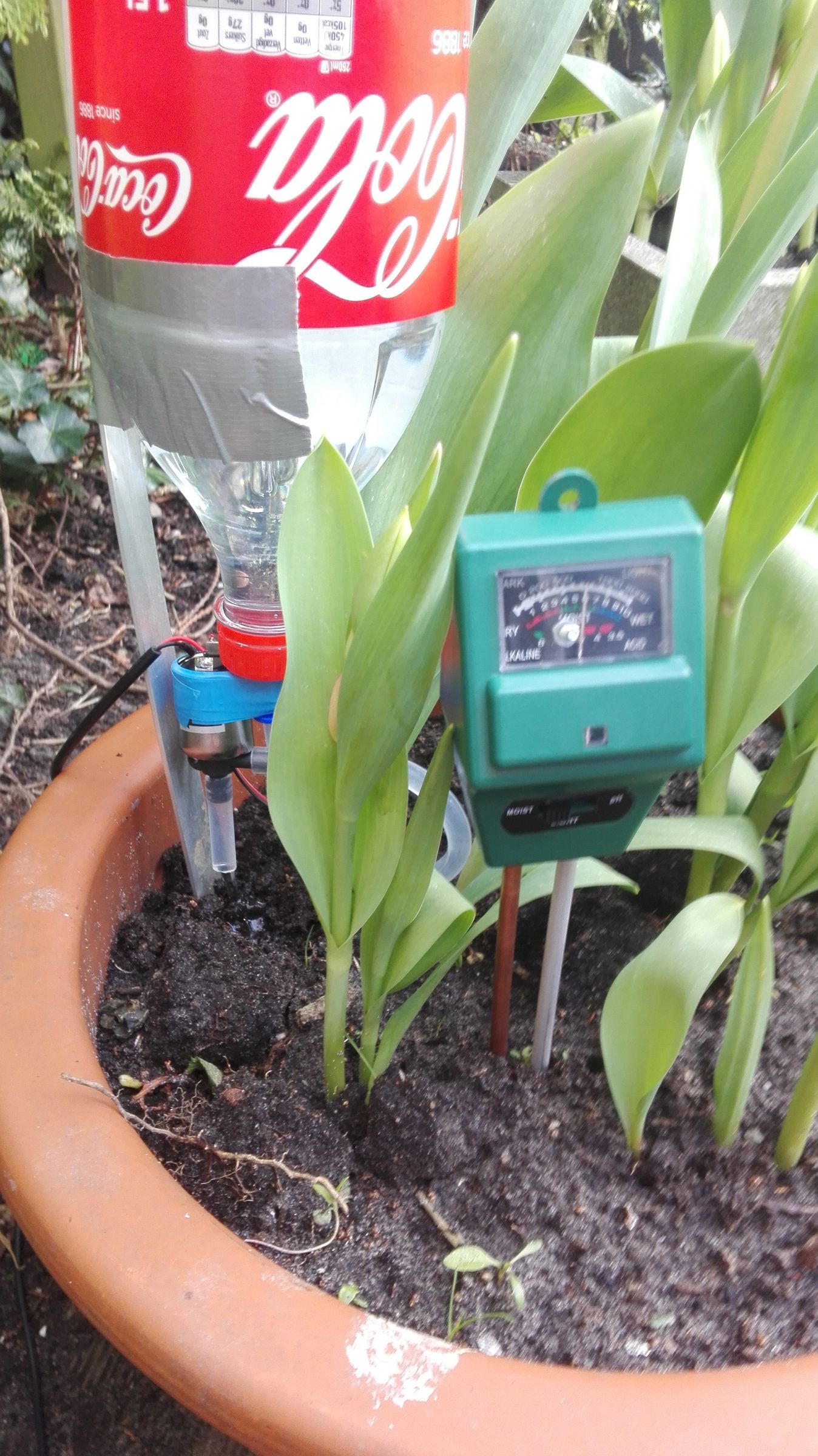 Automatic Electronic Plant Waterer : 5 Steps (with Pictures ...